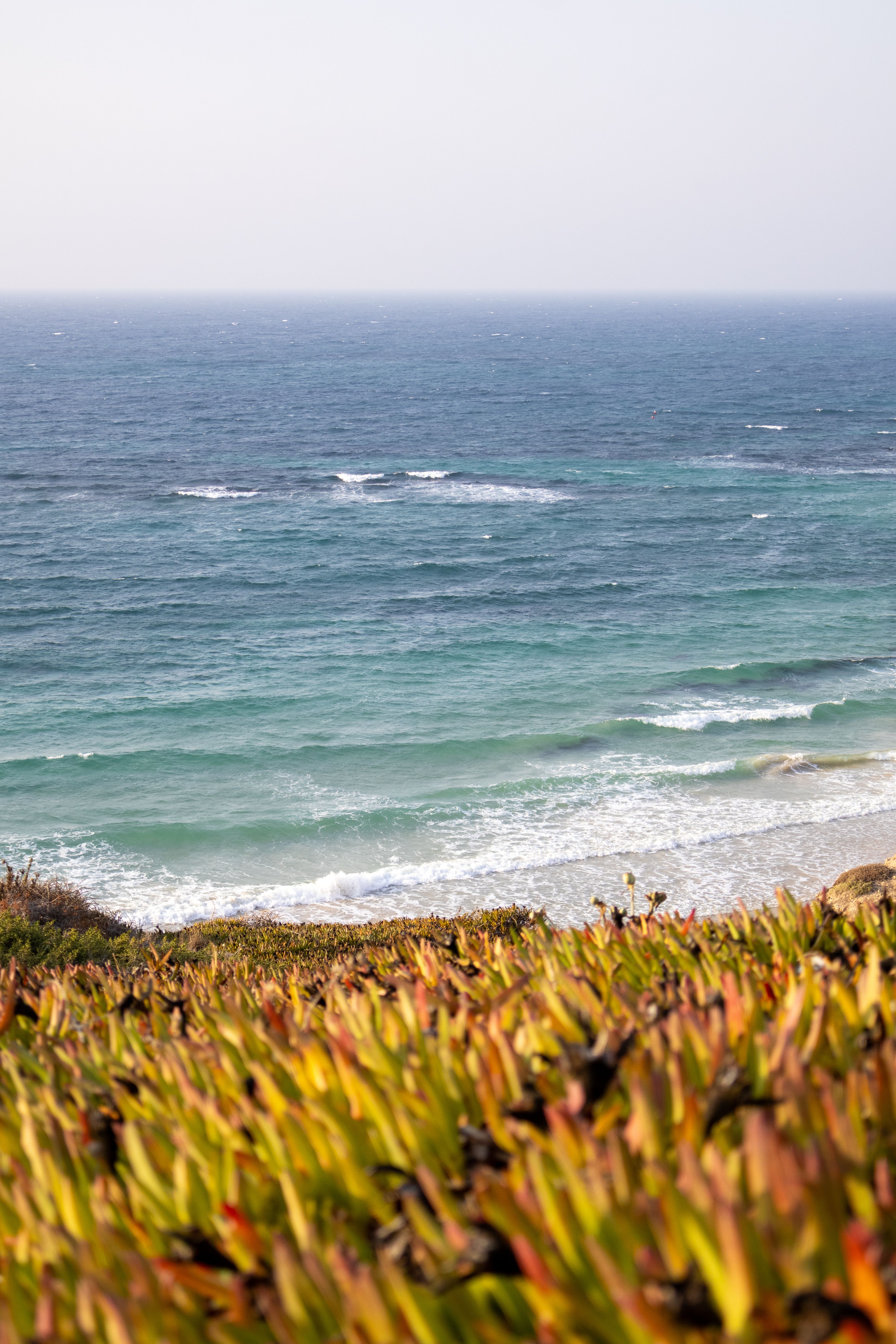 Ocean View Photos, Download The BEST Free Ocean View Stock Photos & HD ...