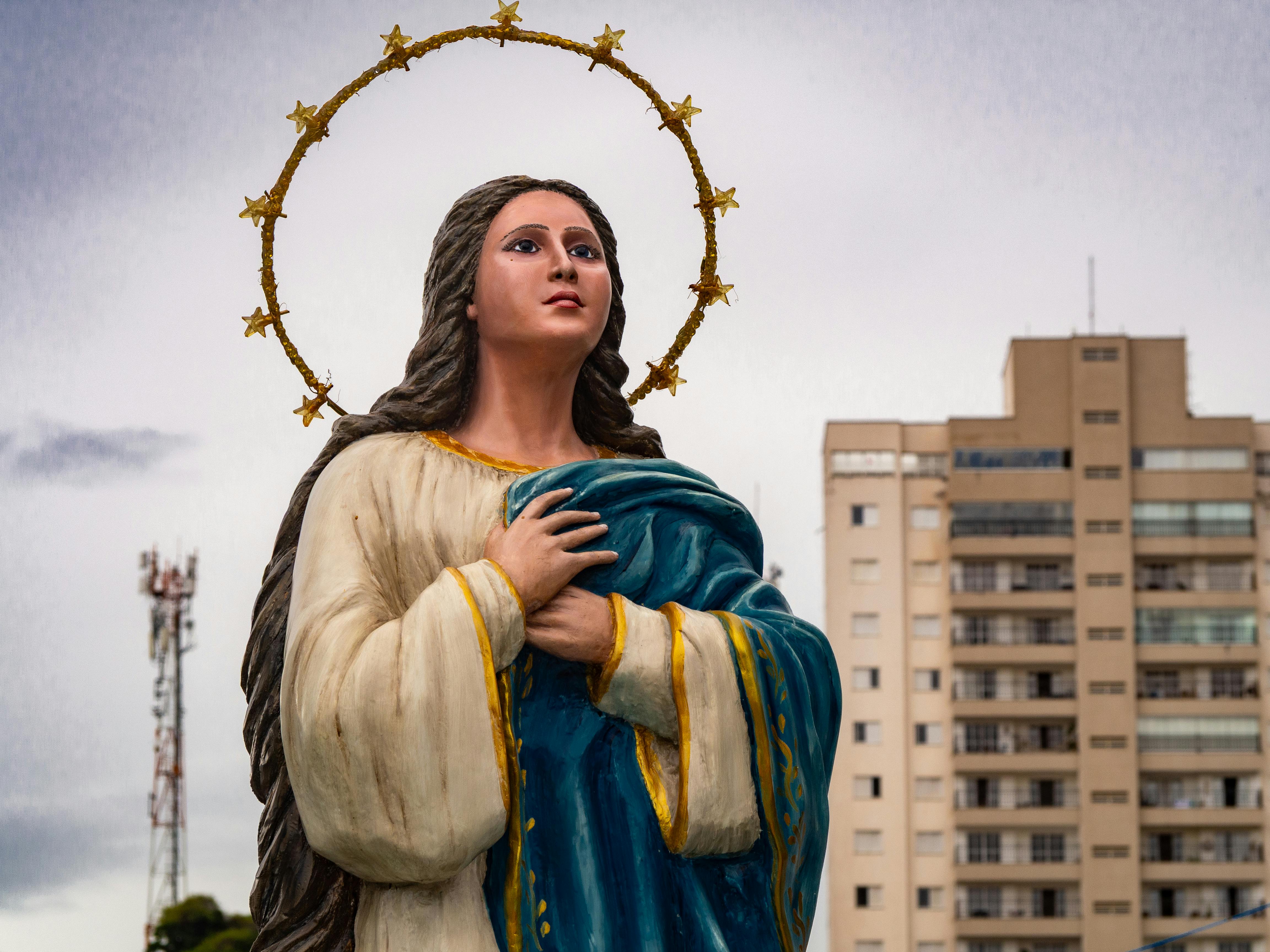 Christmas, Bible Photos, Download The BEST Free Christmas, Bible Stock ...