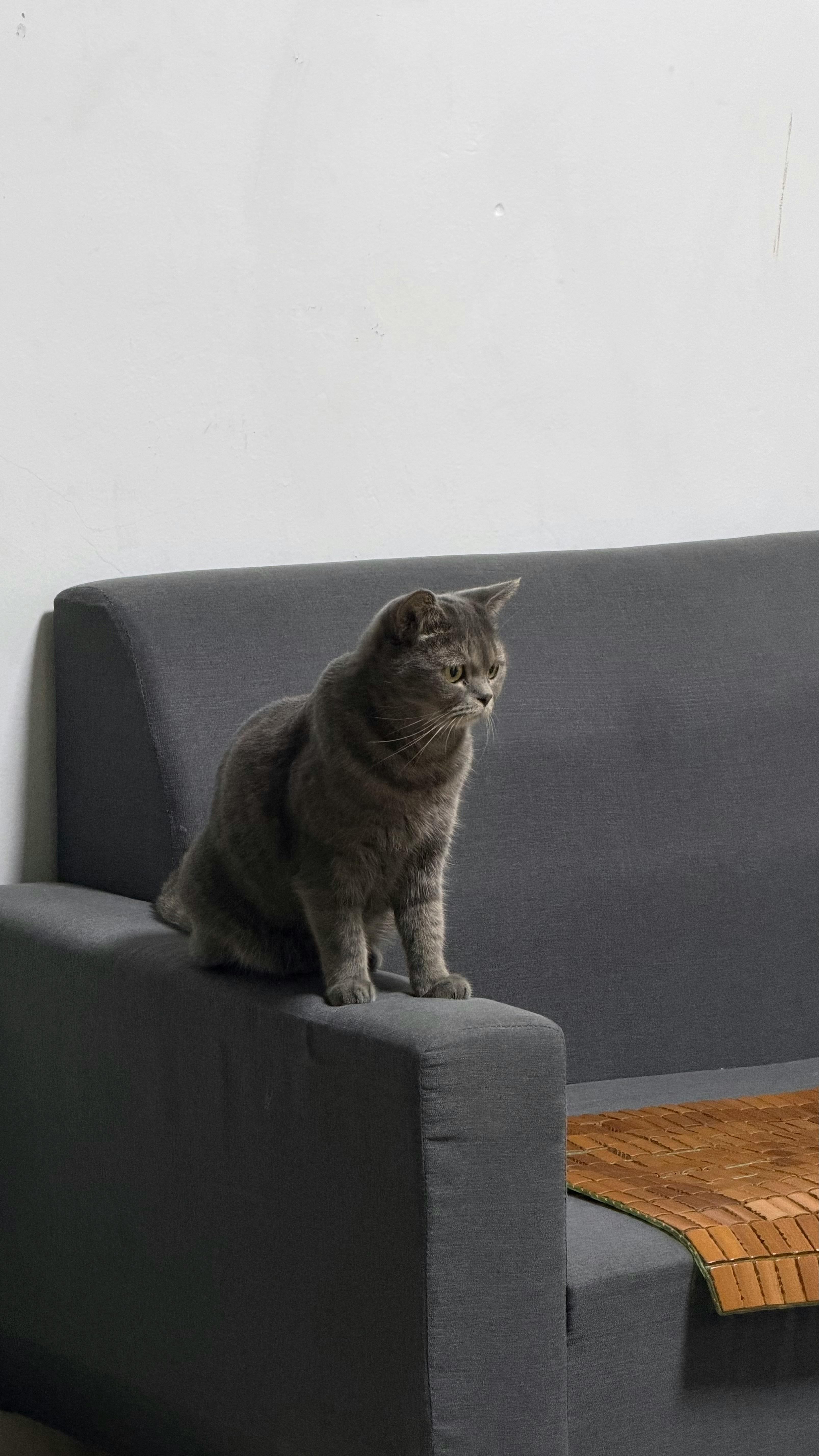 Cute+Imx+Girls Photos, Download The BEST Free Cute+Imx+Girls Stock ...