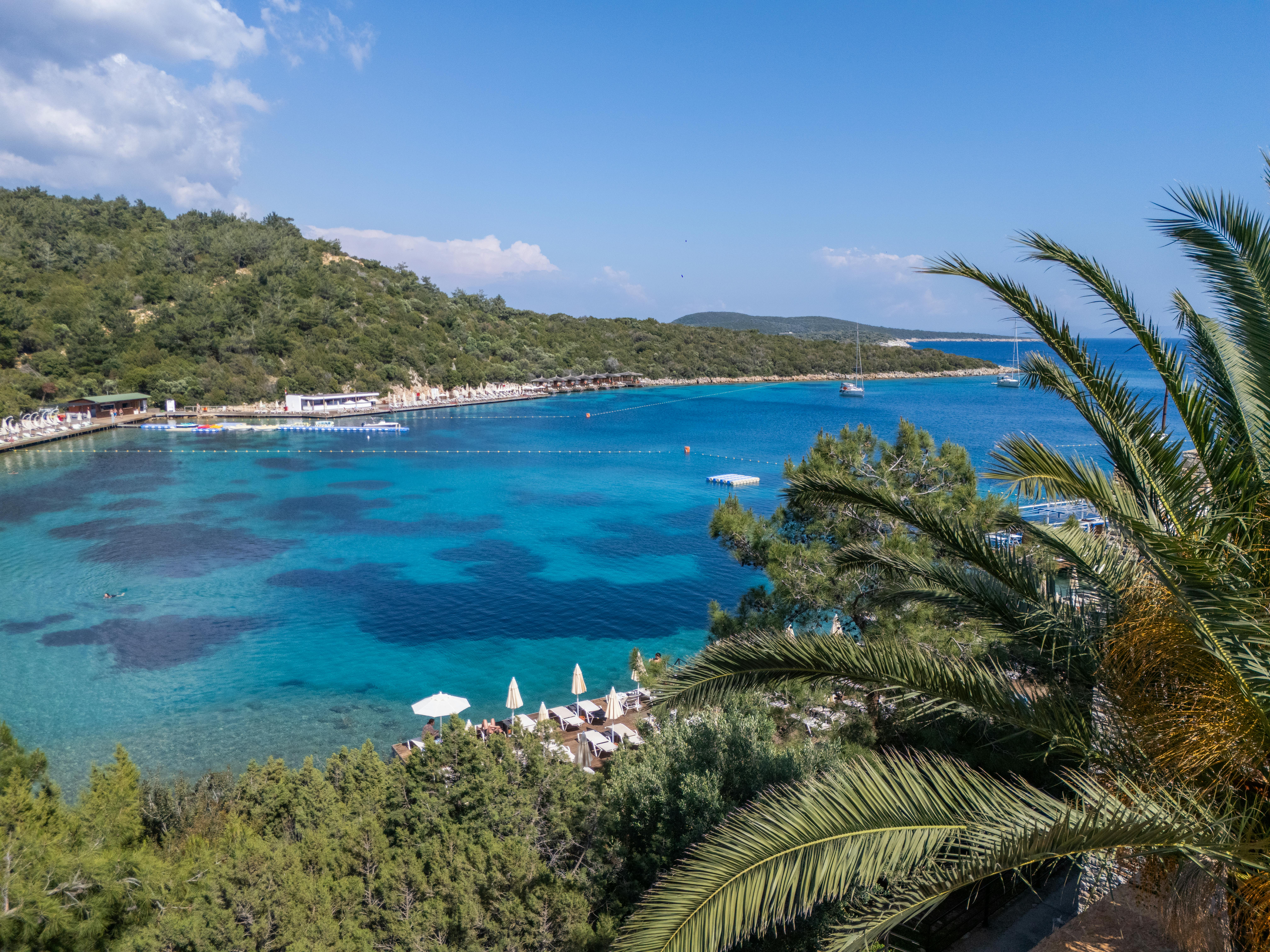 100.000+ Htf+taking+a+walk Bilder und Fotos · Kostenlos Downloaden ...