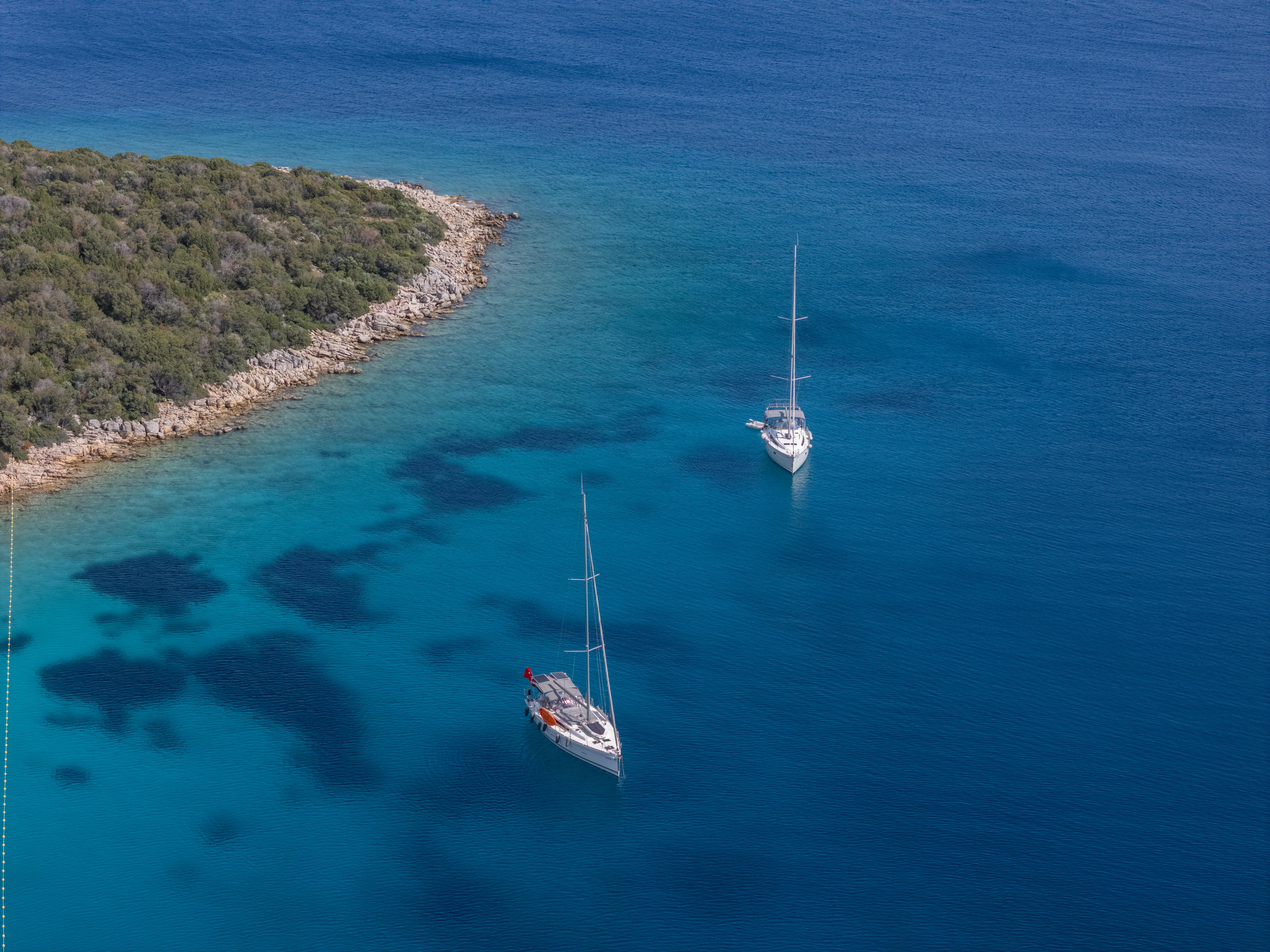 Spongebob Photo Photos, Download The BEST Free Spongebob Photo Stock Photos & HD Images