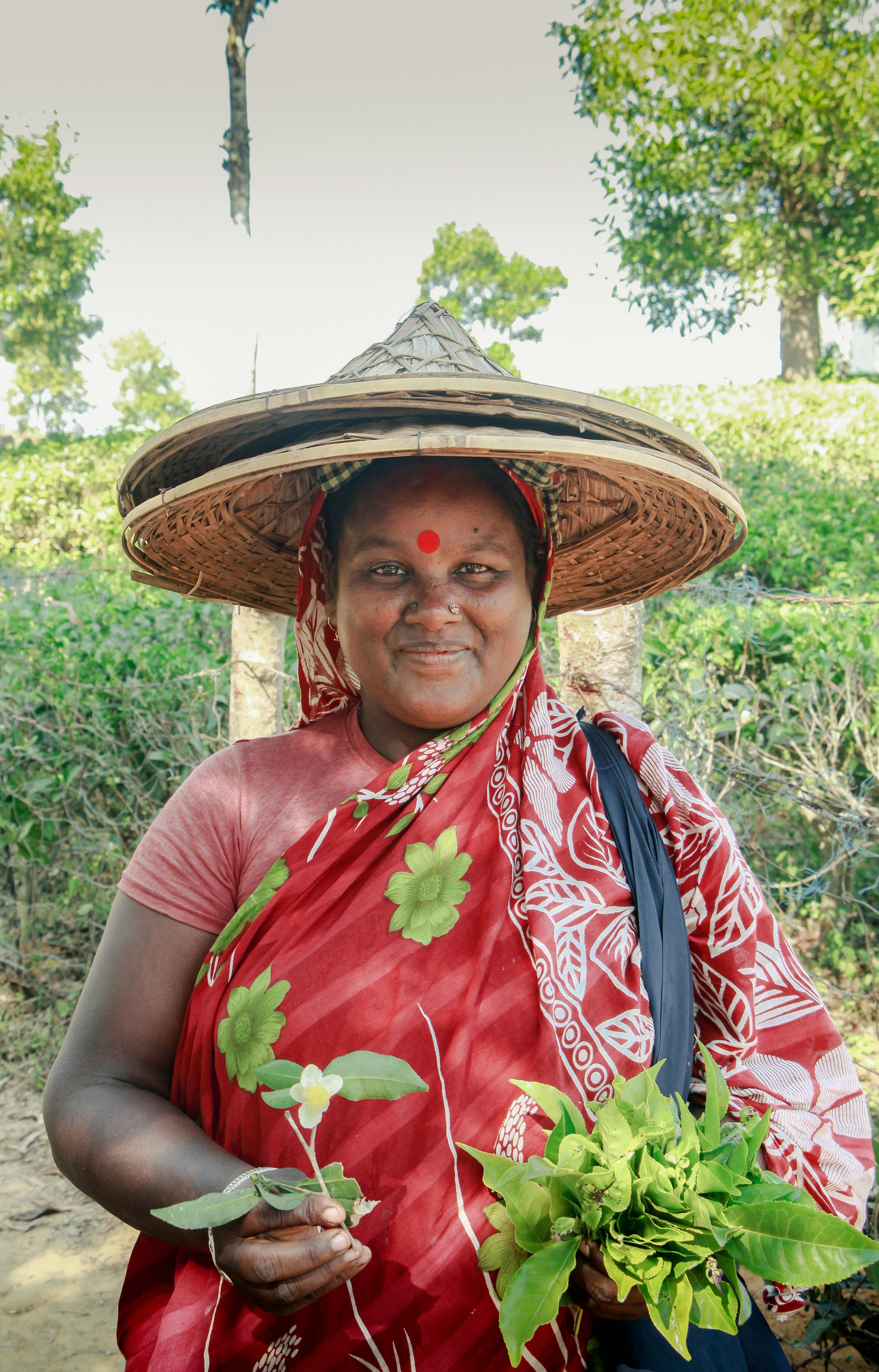 Tradition Photo Photos, Download The BEST Free Tradition Photo Stock ...