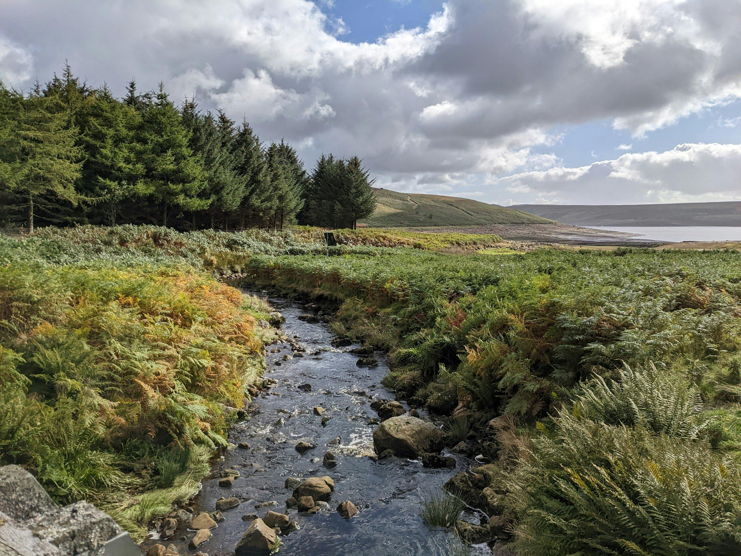 Blocks+Around+Us Photos, Download The BEST Free Blocks+Around+Us Stock ...