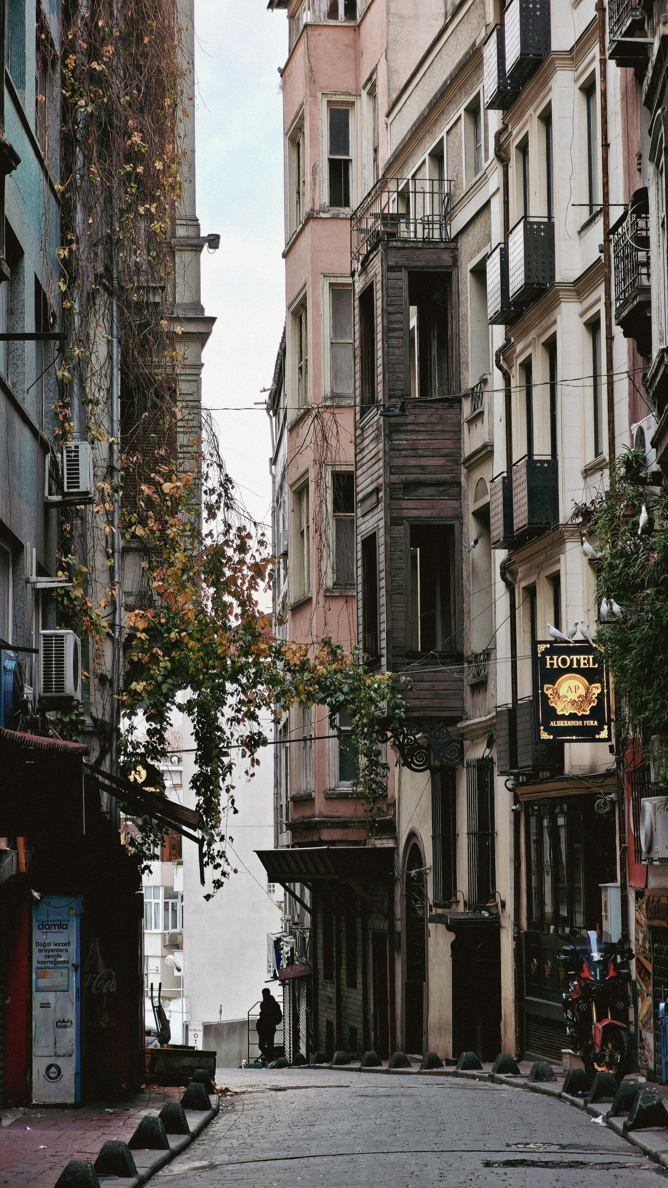 Vintage+Babes Photos, Download The BEST Free Vintage+Babes Stock Photos ...