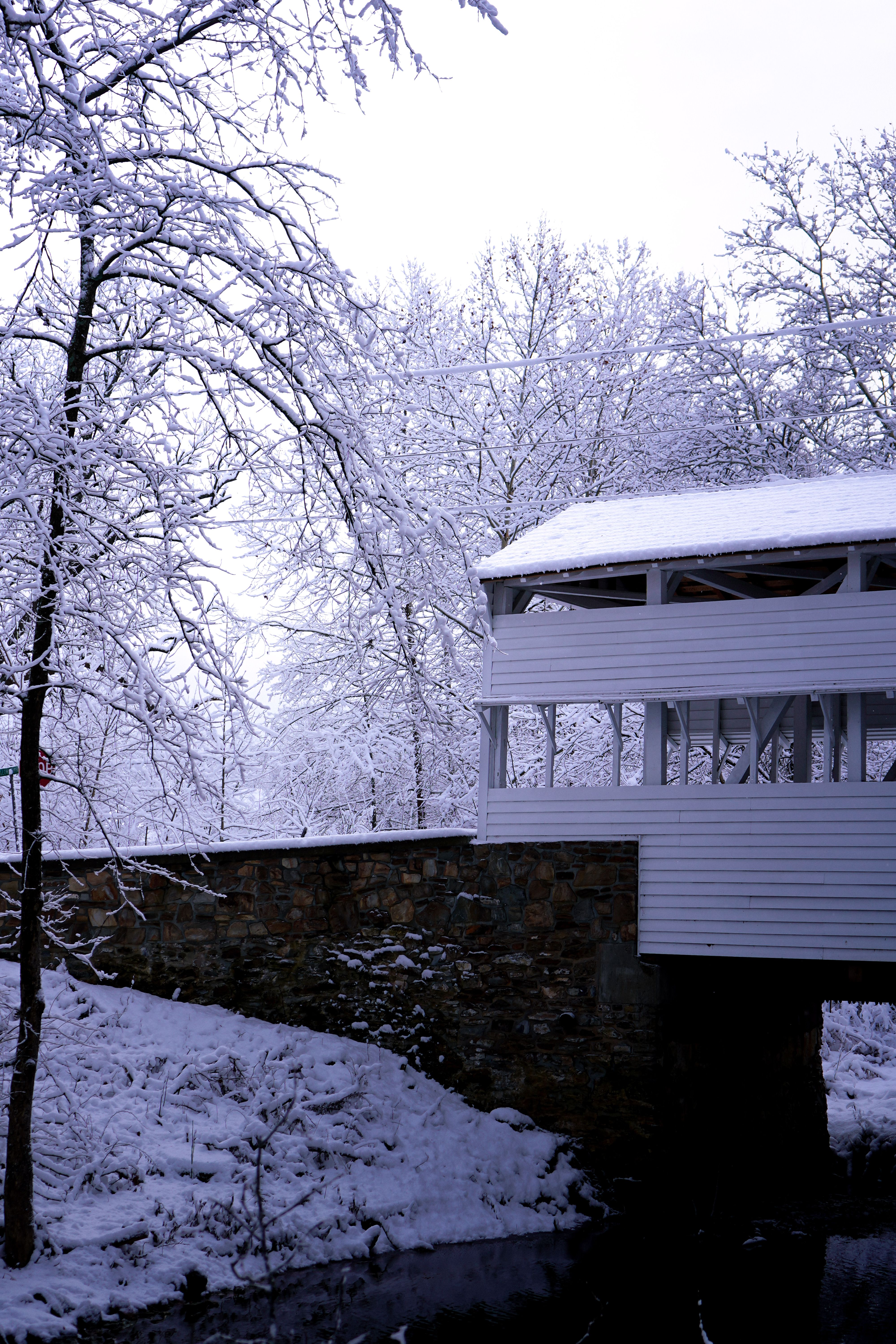 Serene Snow-Covered Winter Bridge Scene · Free Stock Photo