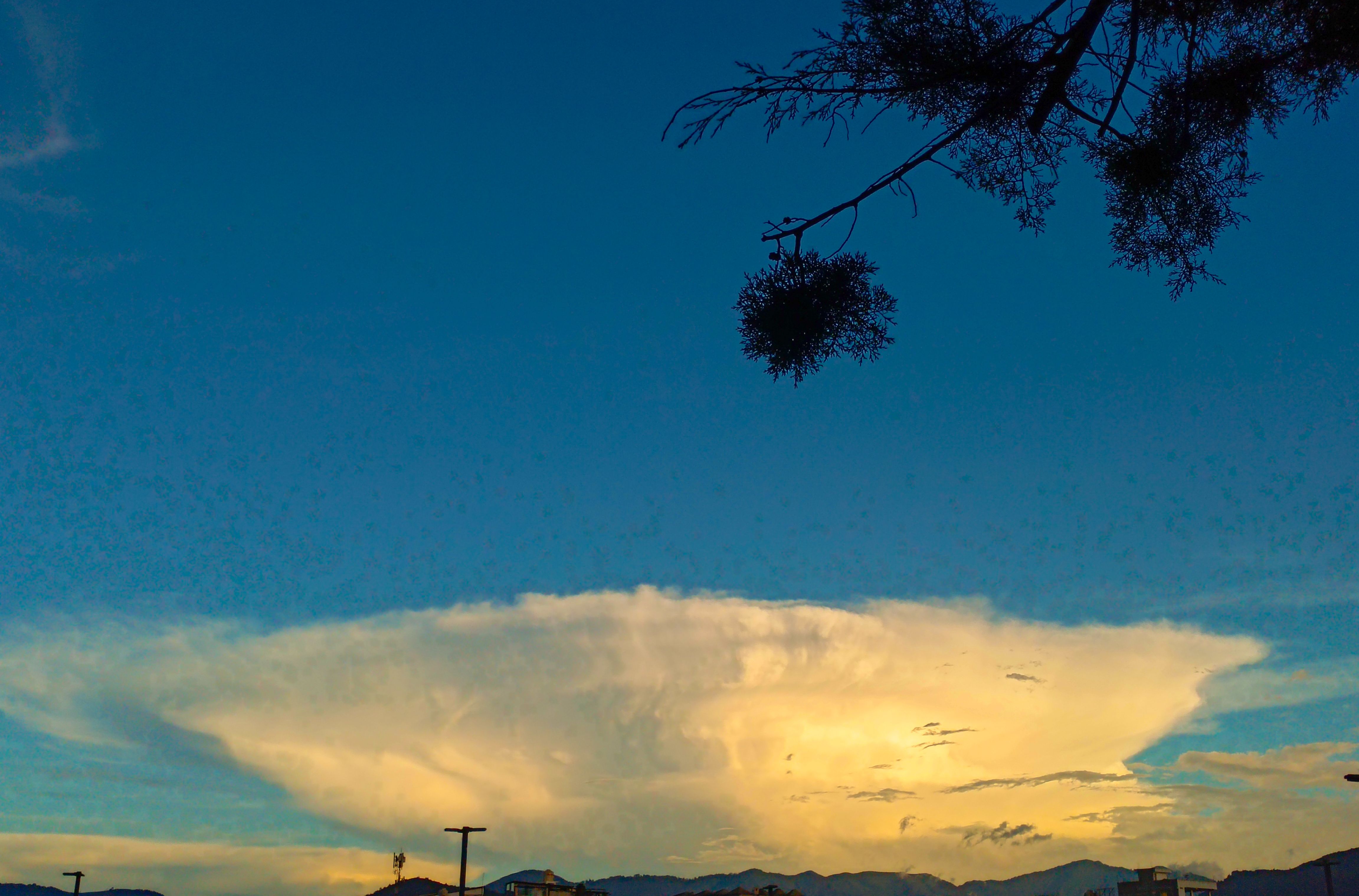 Luis Andrade - Photography