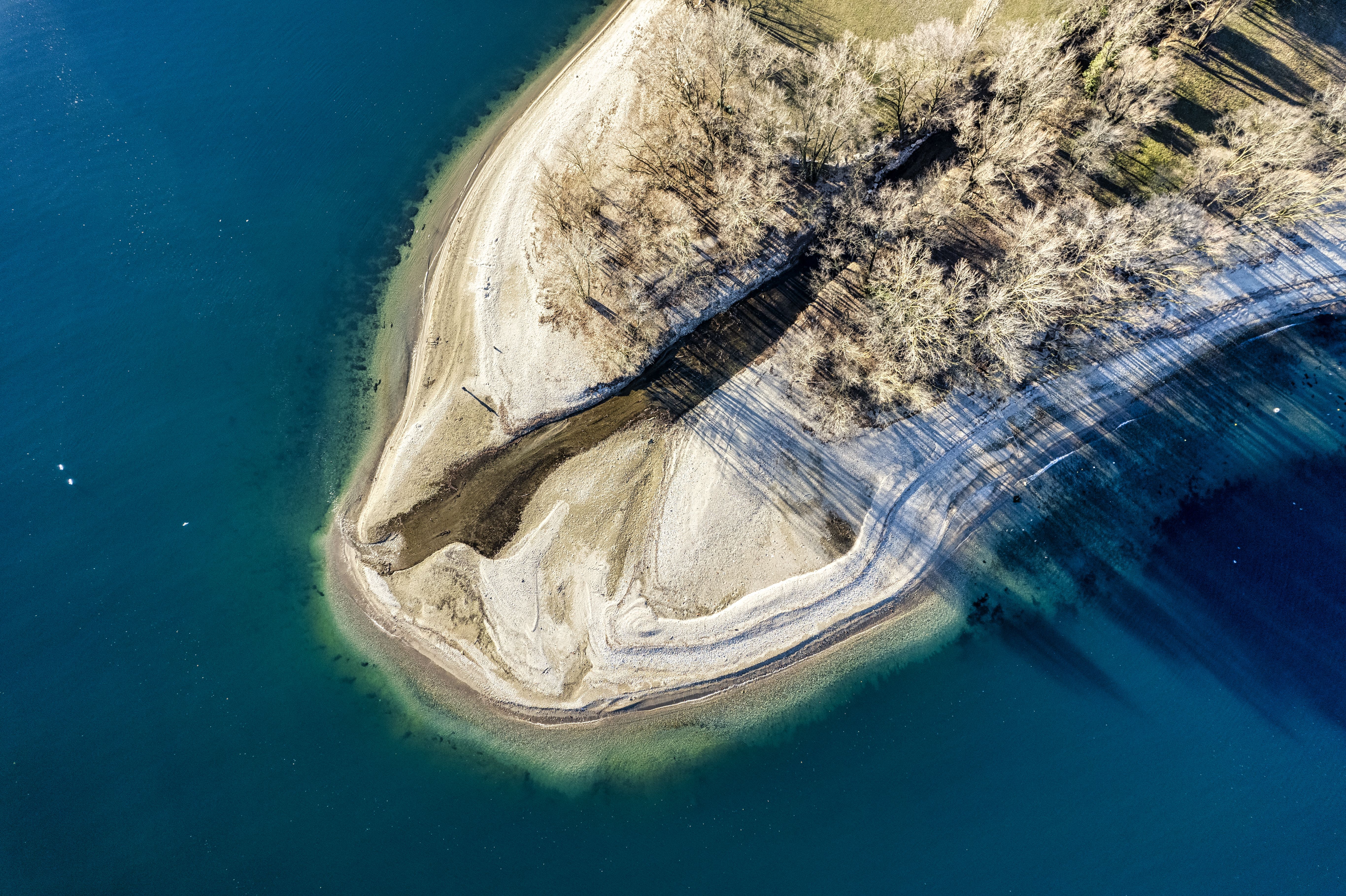 Aerial View of Shoreline with Tree Shadows · Free Stock Photo