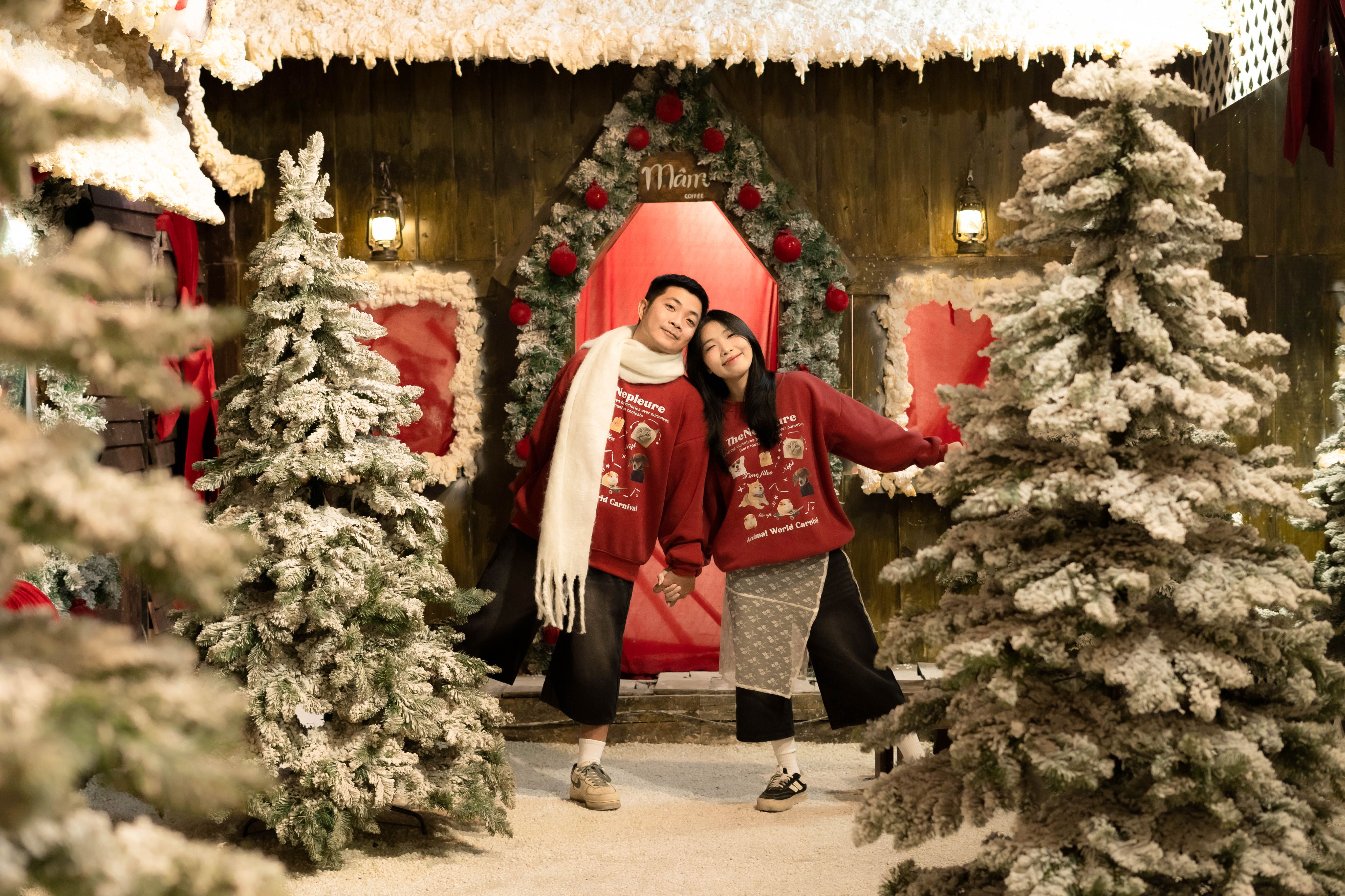 Arizona Christmas Photos, Download The BEST Free Arizona Christmas ...