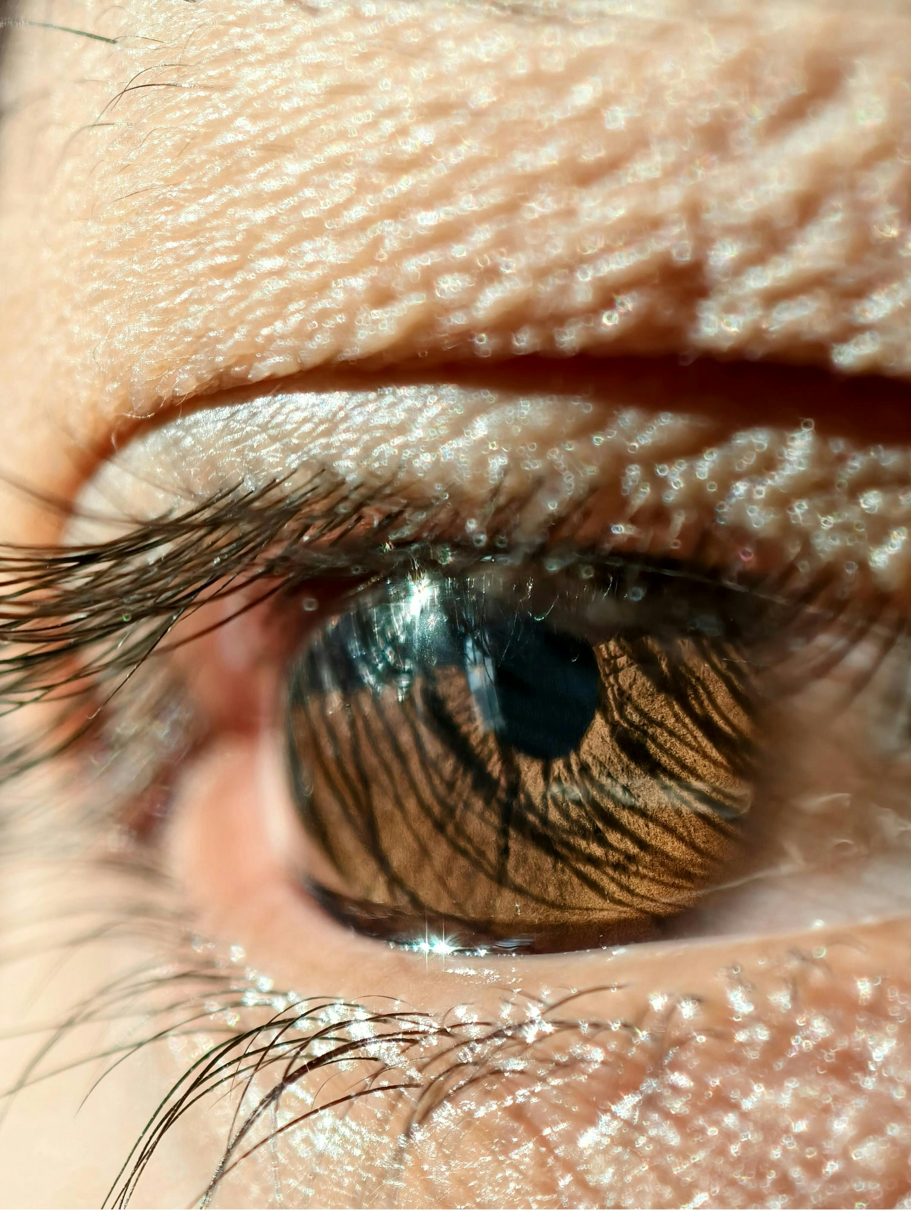 Scrolller+Micro+Bikini Photos, Download The BEST Free Scrolller+Micro+Bikini Stock Photos & HD ...