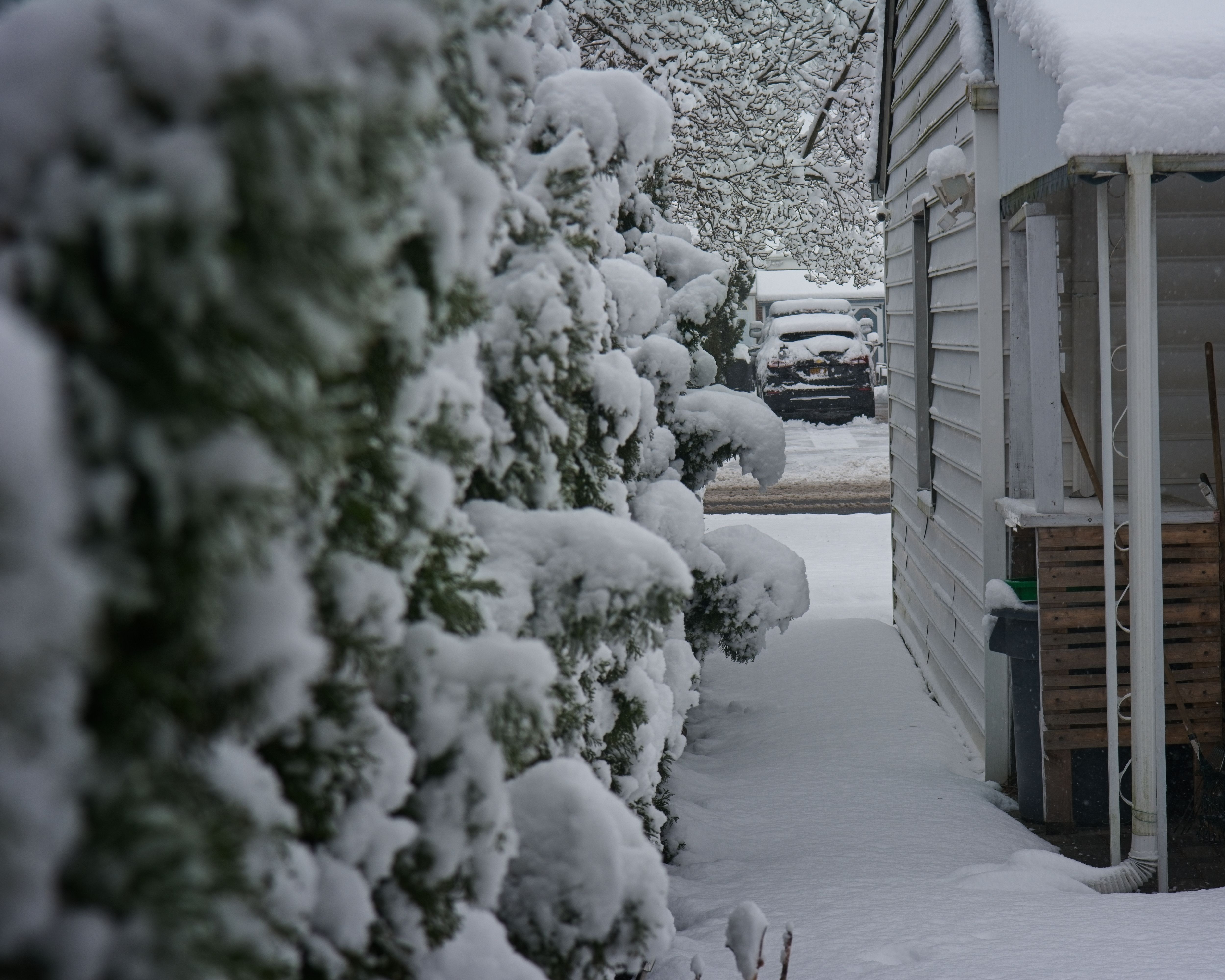 Snow-Covered Alleyway in New York Winter · Free Stock Photo