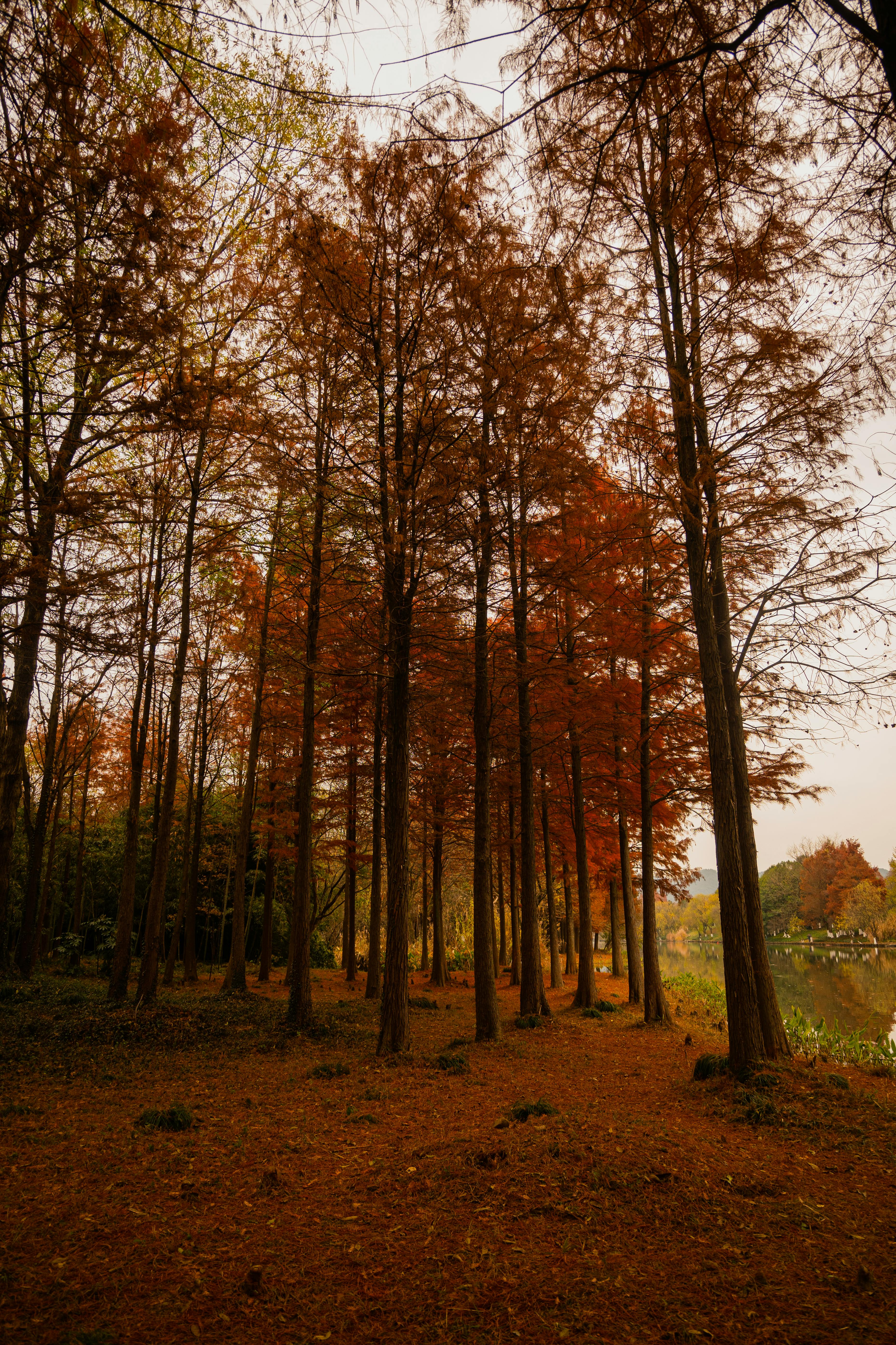 Falling+Out+Of+Her+Top Photos, Download The BEST Free Falling+Out+Of ...