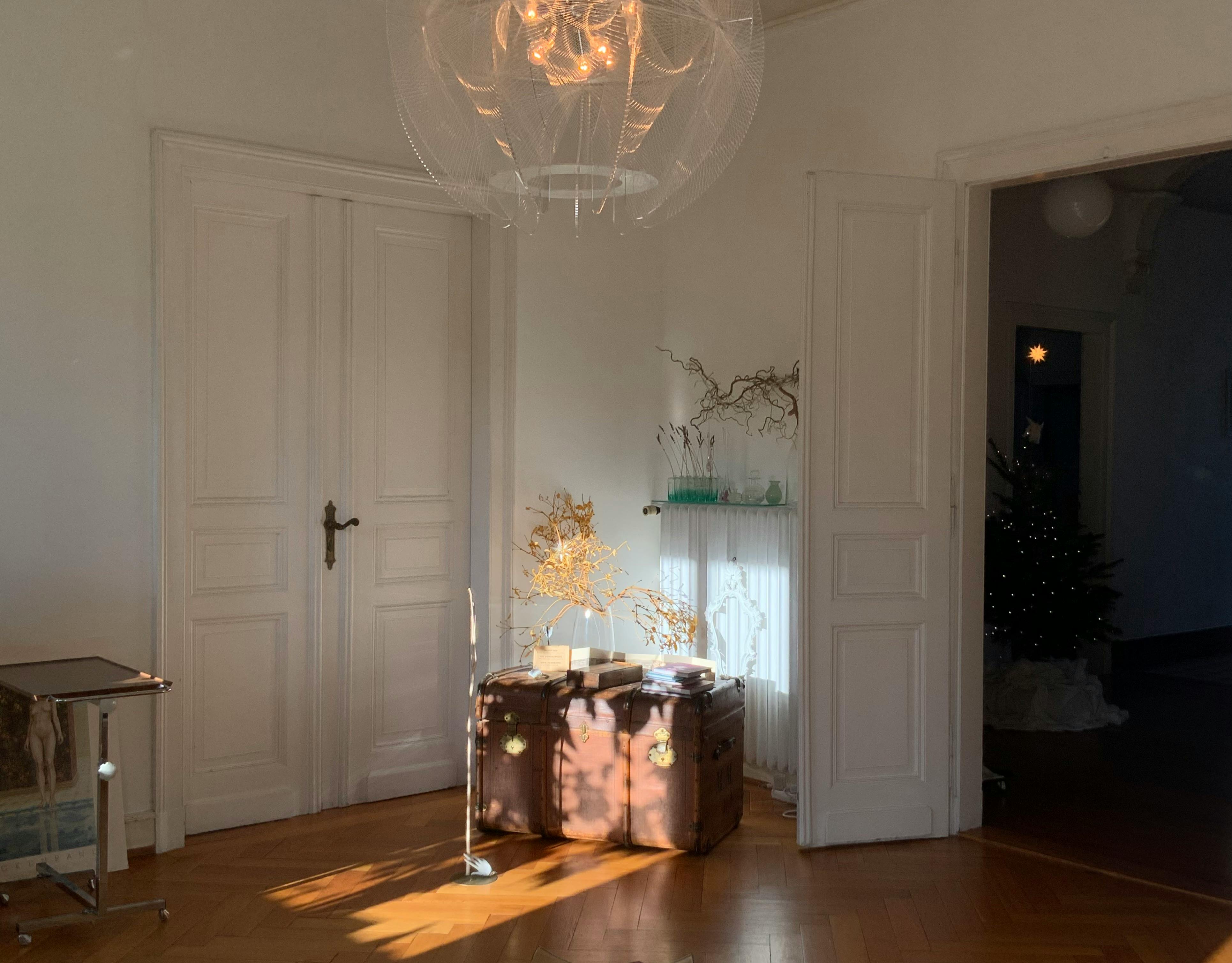 Christmas Reef Photos, Download The BEST Free Christmas Reef Stock ...