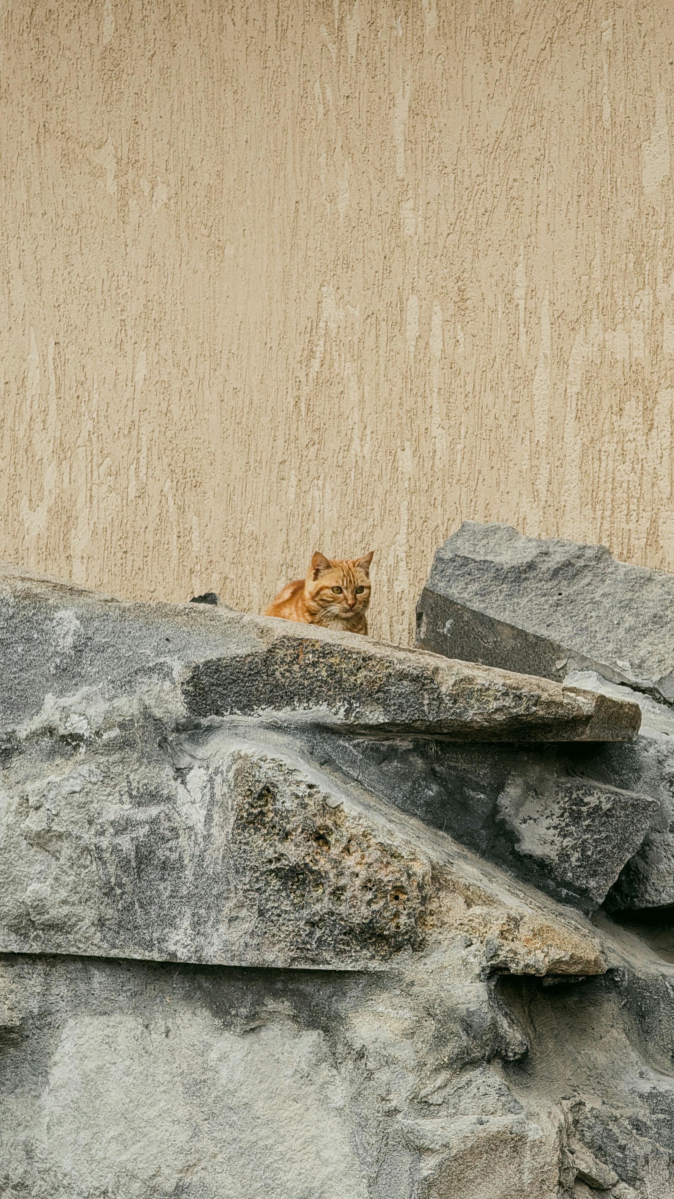 Ultra+Mobile+Photo Photos, Download The BEST Free Ultra+Mobile+Photo ...