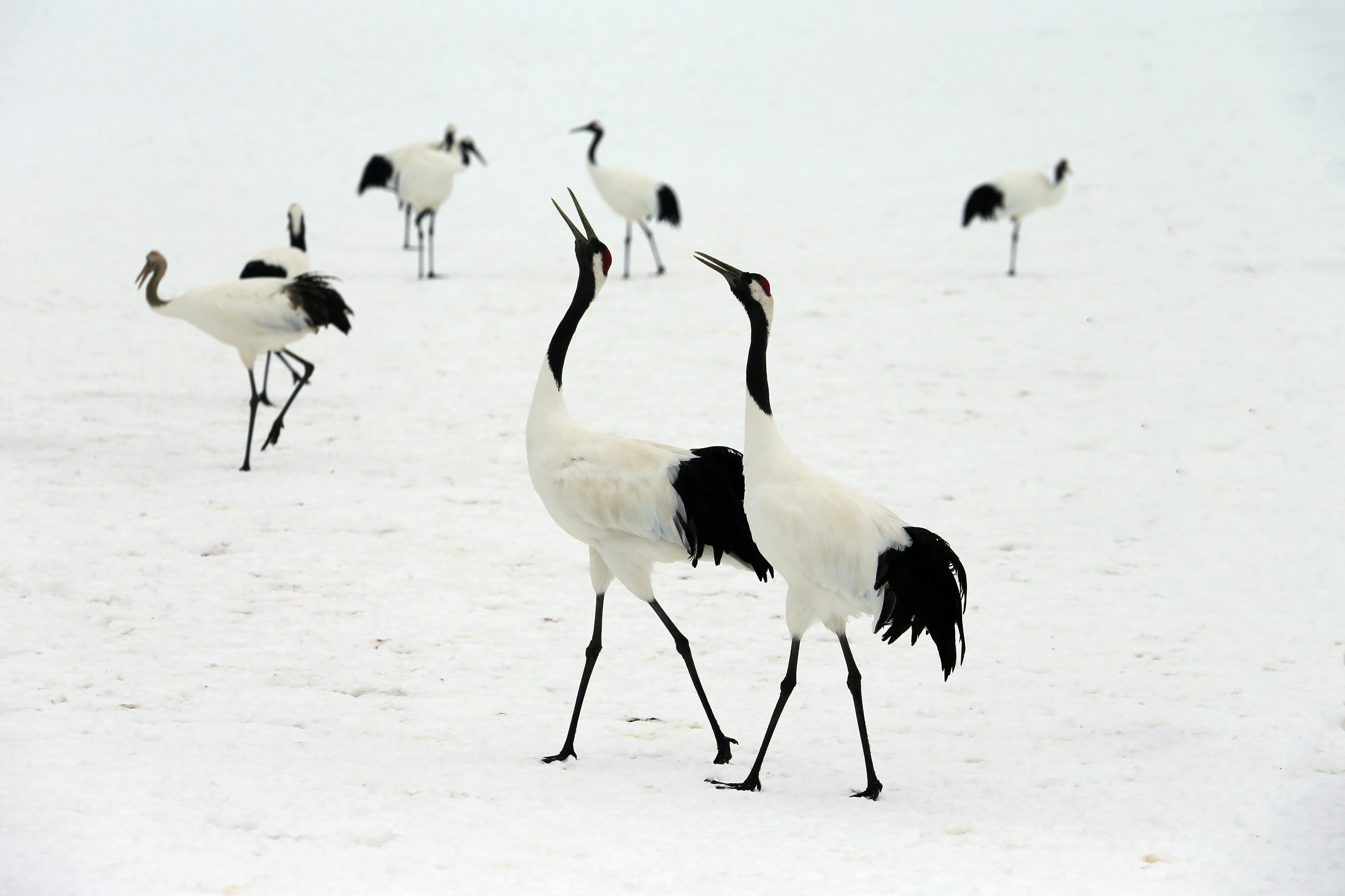 Kat+Timpf+Legs+Pics Photos, Download The BEST Free Kat+Timpf+Legs+Pics ...