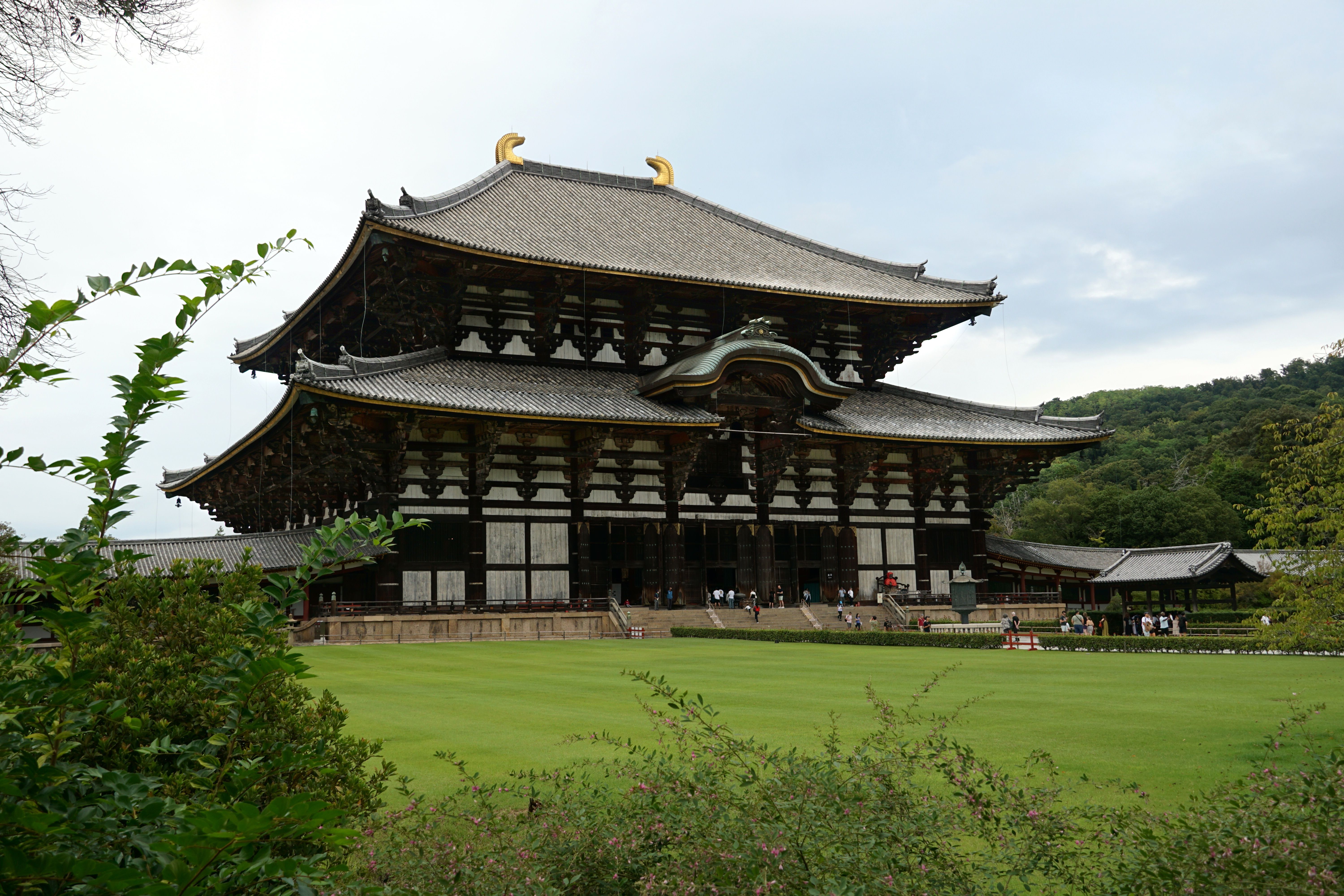 Todaiji Temple amidst Lush Greenery in Nara, Japan · Free Stock Photo