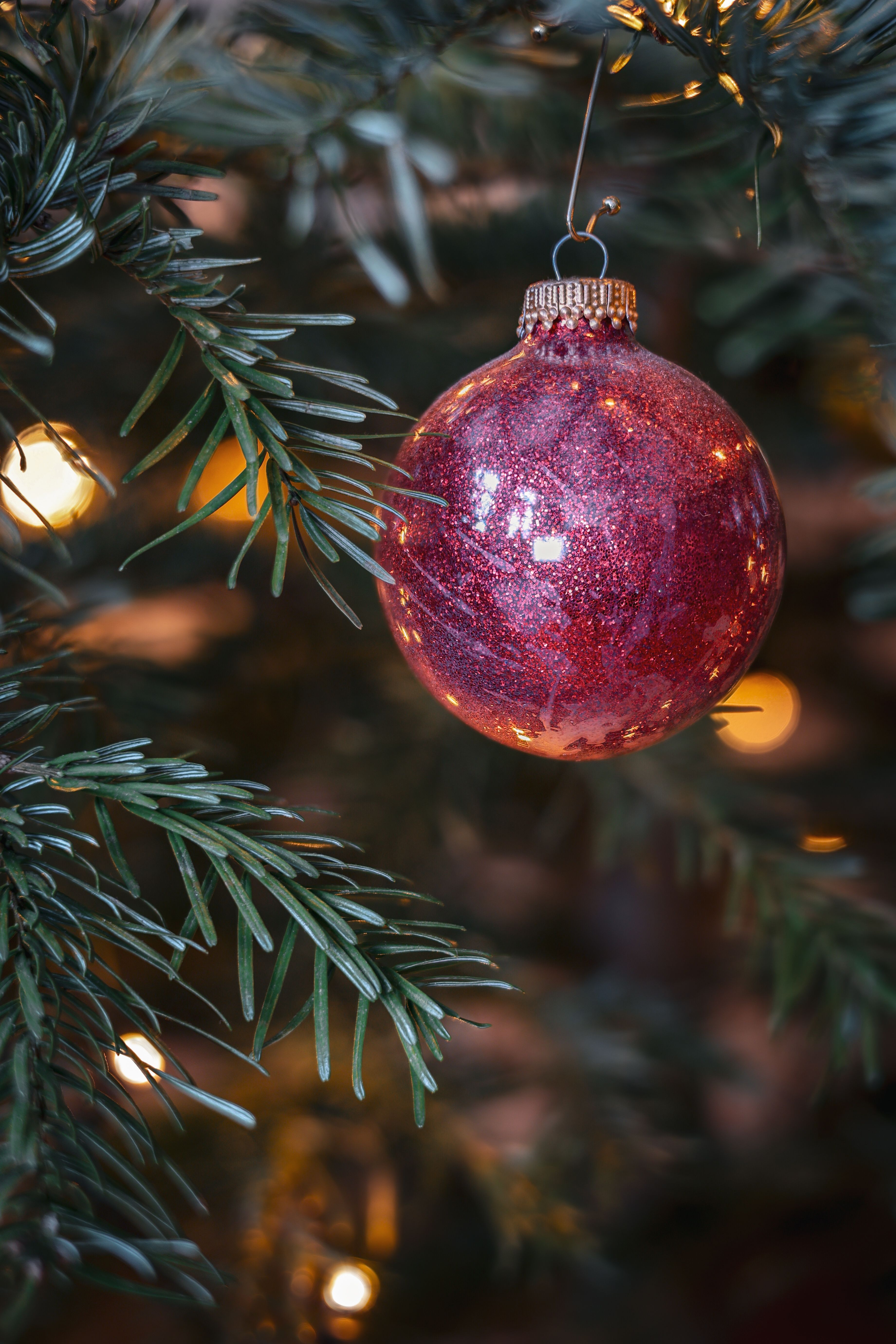 Crismas Tree Png Photos, Download The BEST Free Crismas Tree Png Stock ...