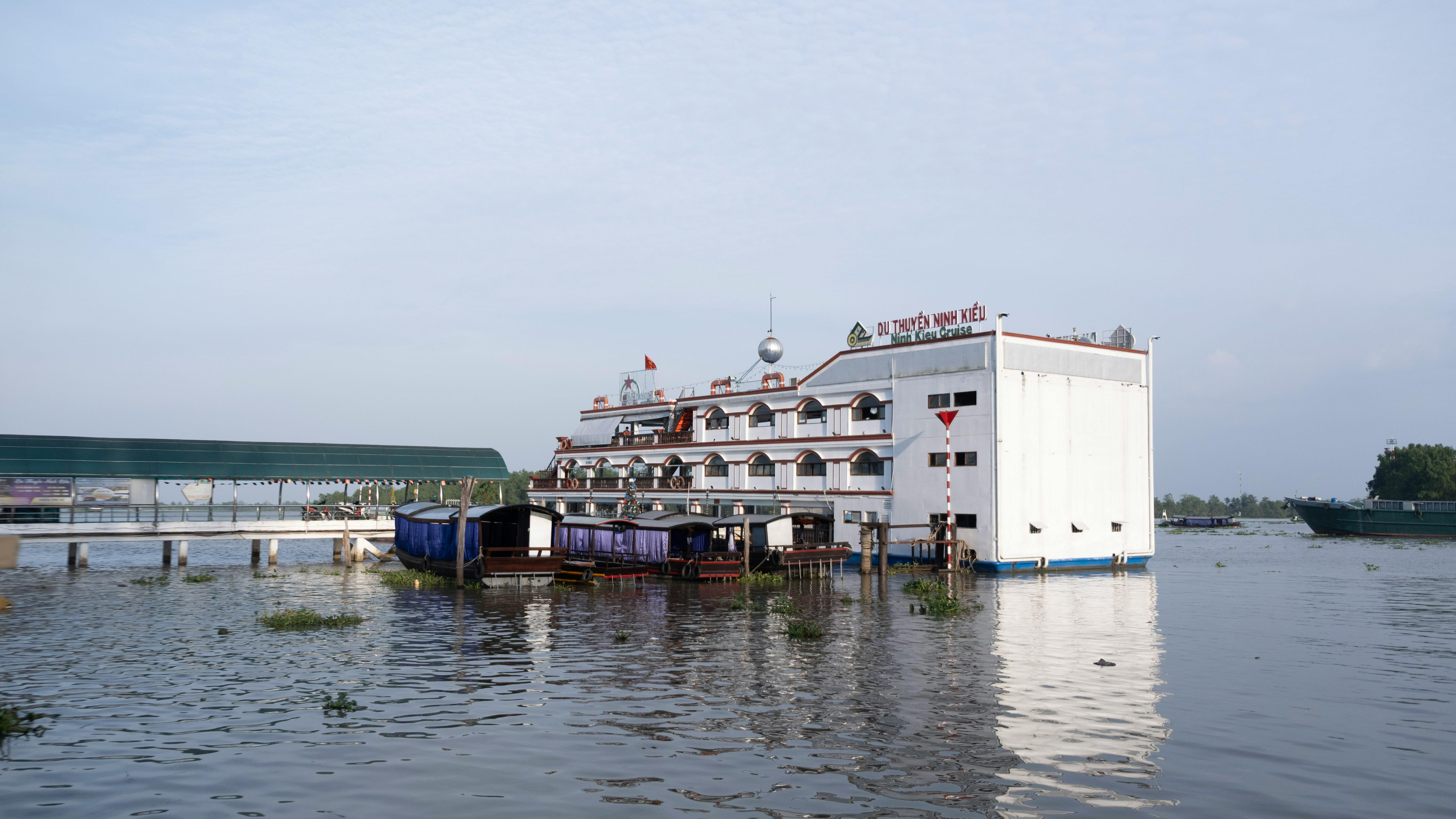 400+ Tho+thong Bilder und Fotos · Kostenlos Downloaden · Pexels Stock-Fotos