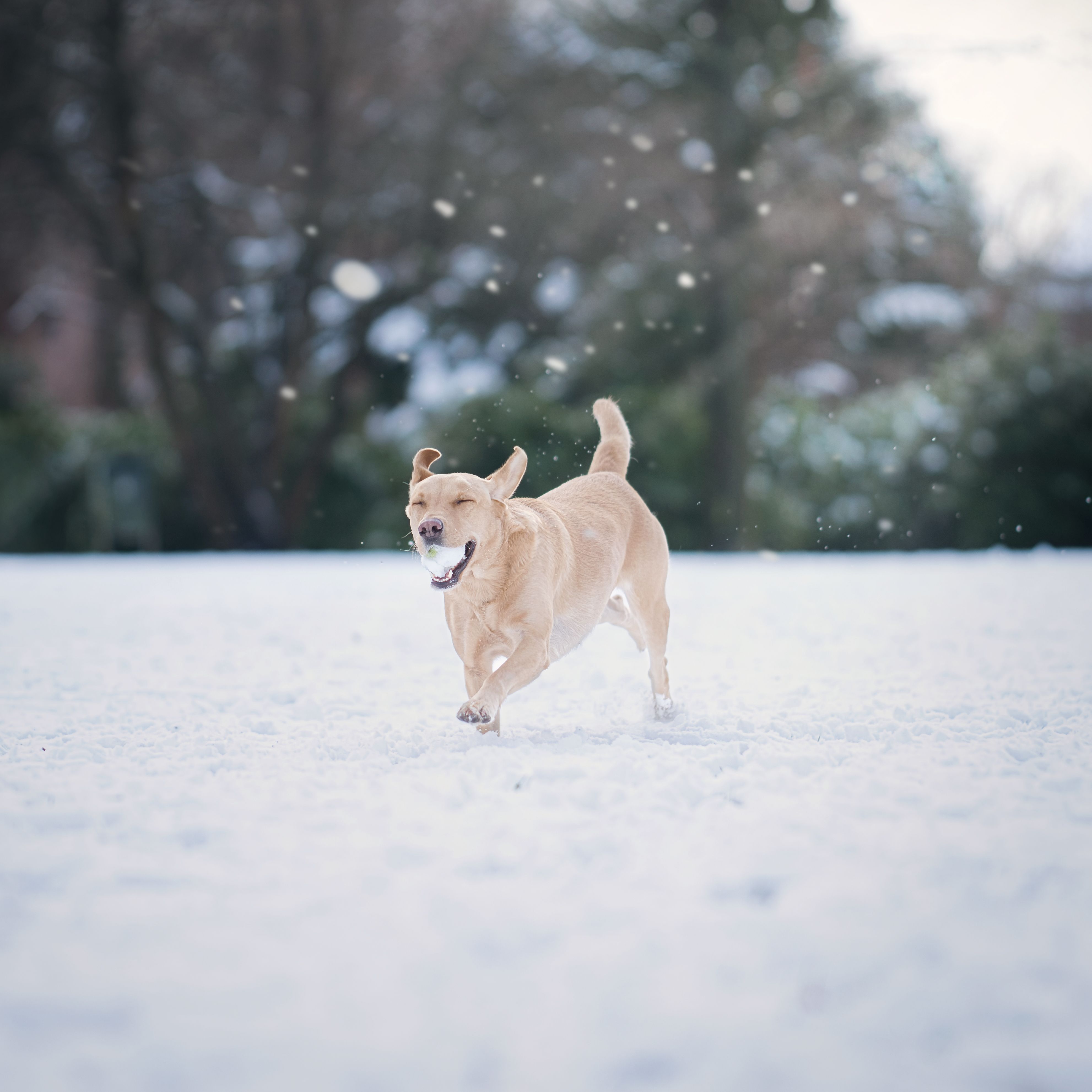 Free Pix Photos, Download The BEST Free Free Pix Stock Photos & HD Images