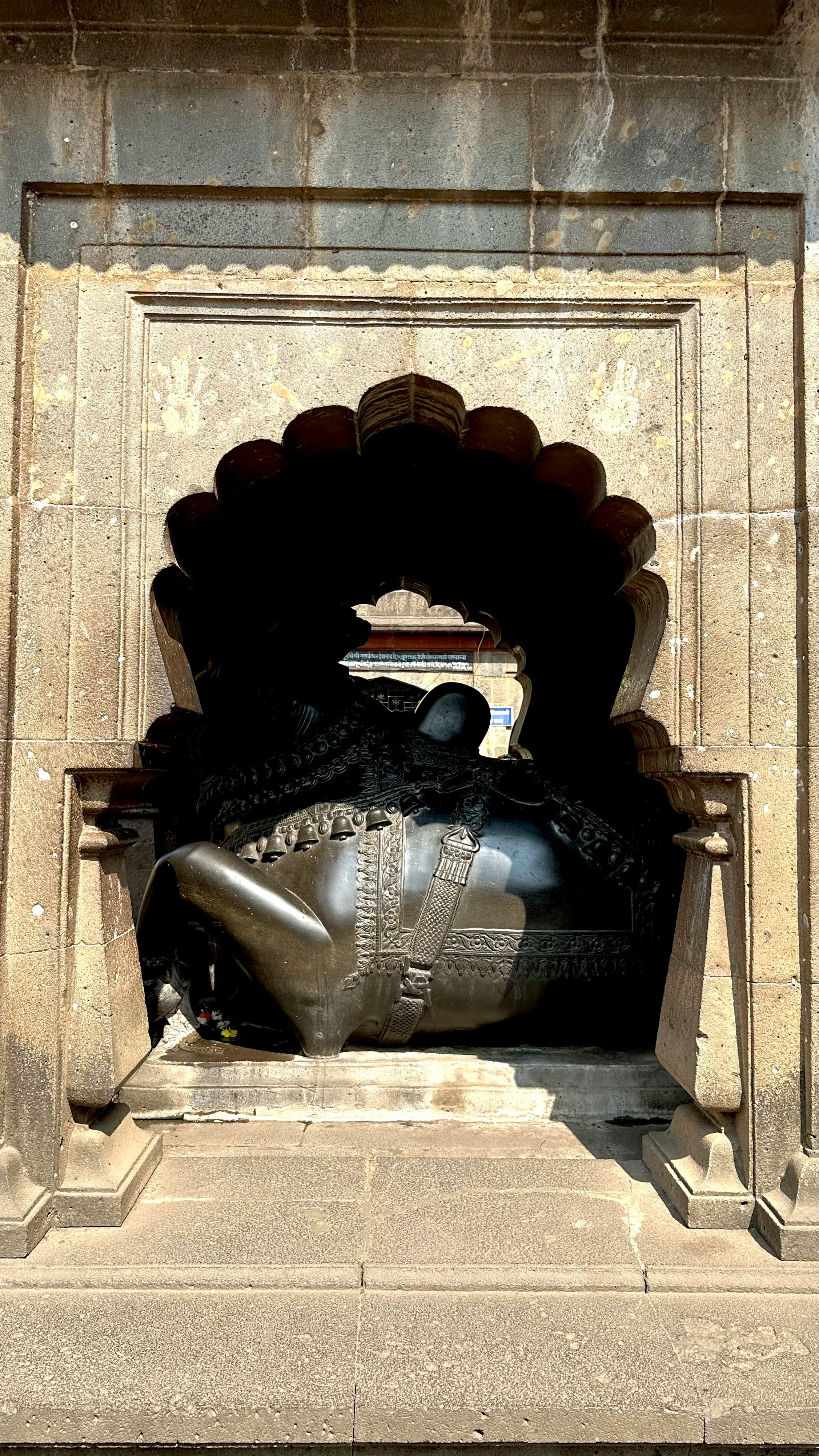 Indian Paisa Photos, Download The BEST Free Indian Paisa Stock Photos ...