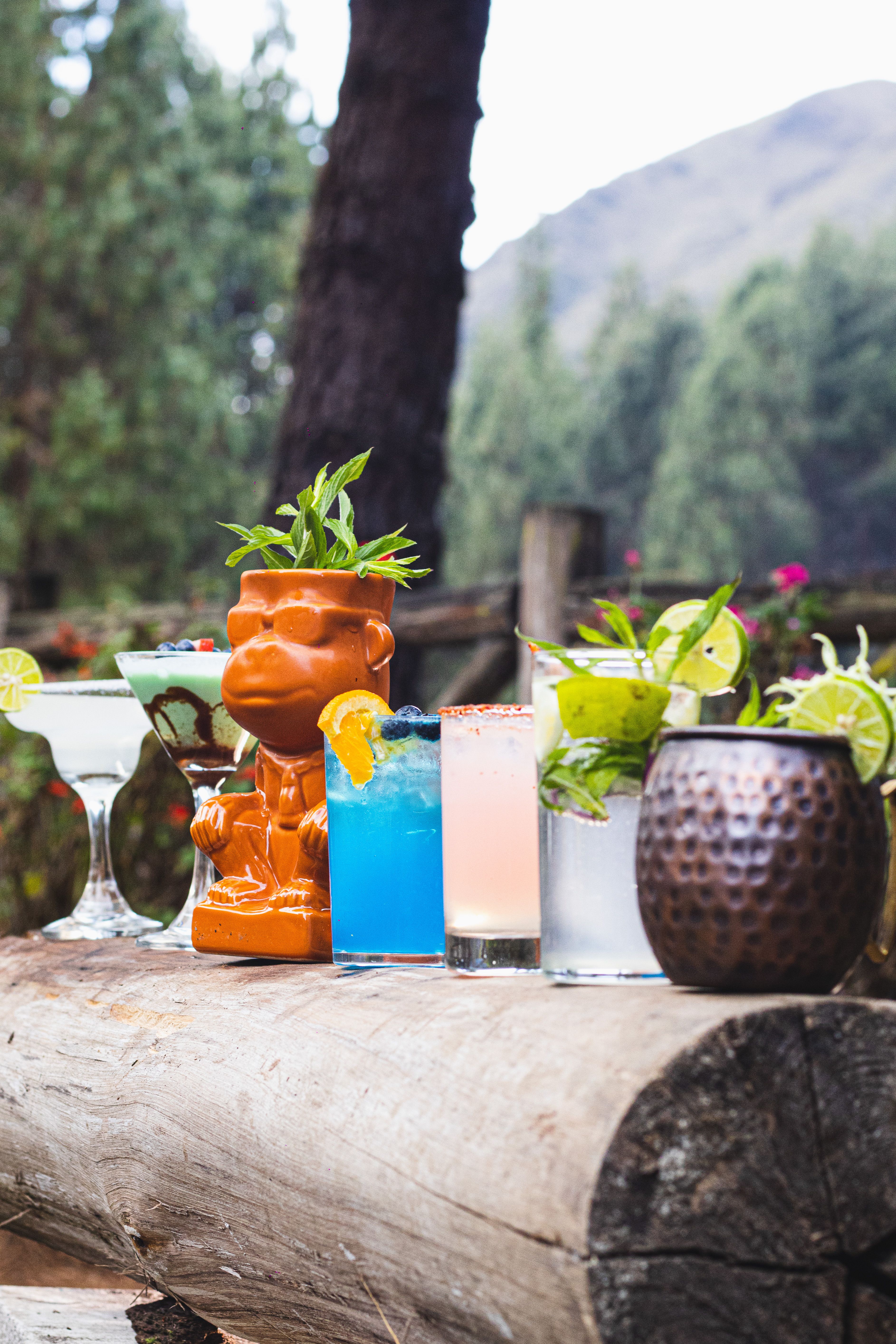 Colorful Tropical Cocktails on Rustic Log Outdoors · Free Stock Photo