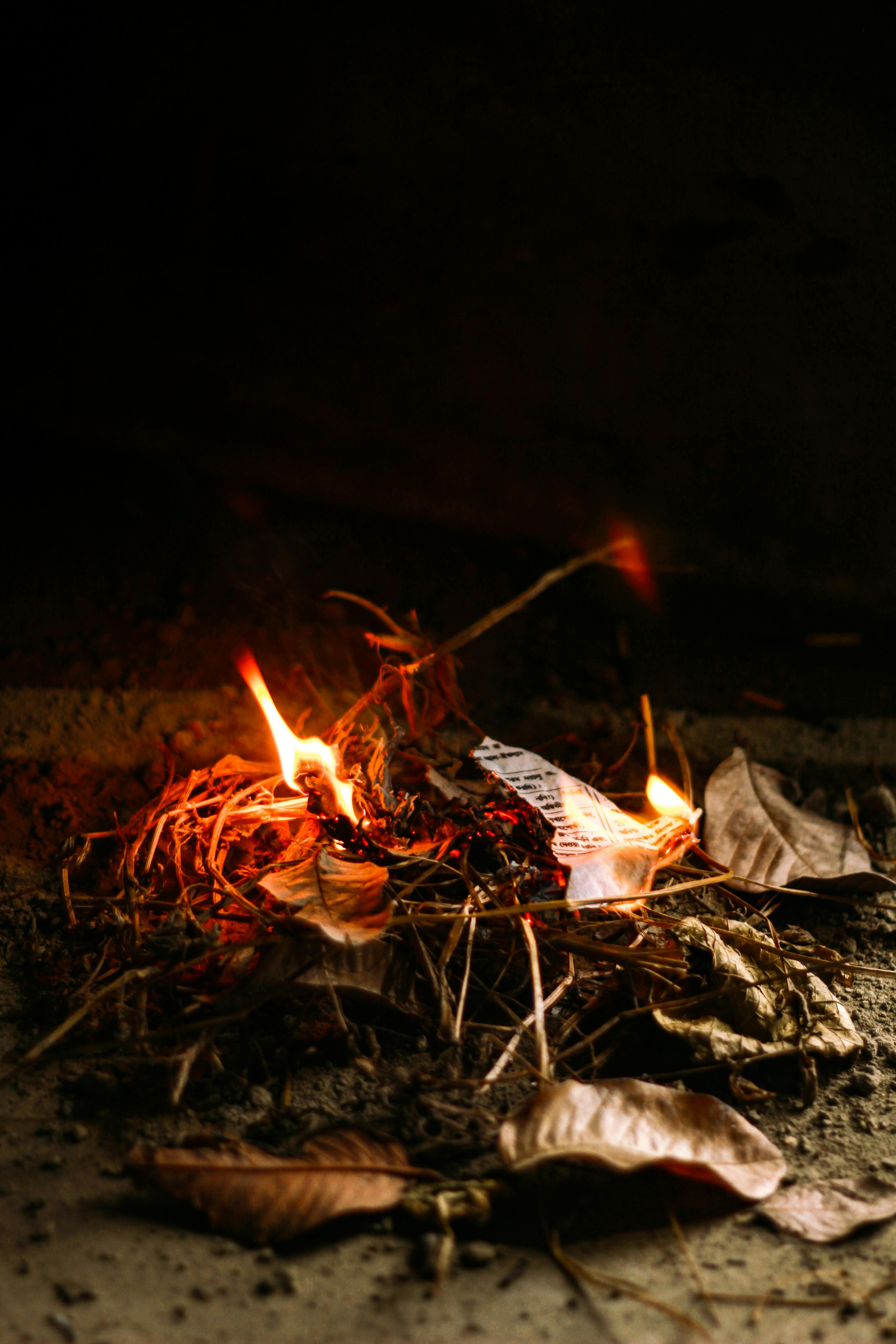 Flicker+Bikini+Tweens Photos, Download The BEST Free Flicker+Bikini ...