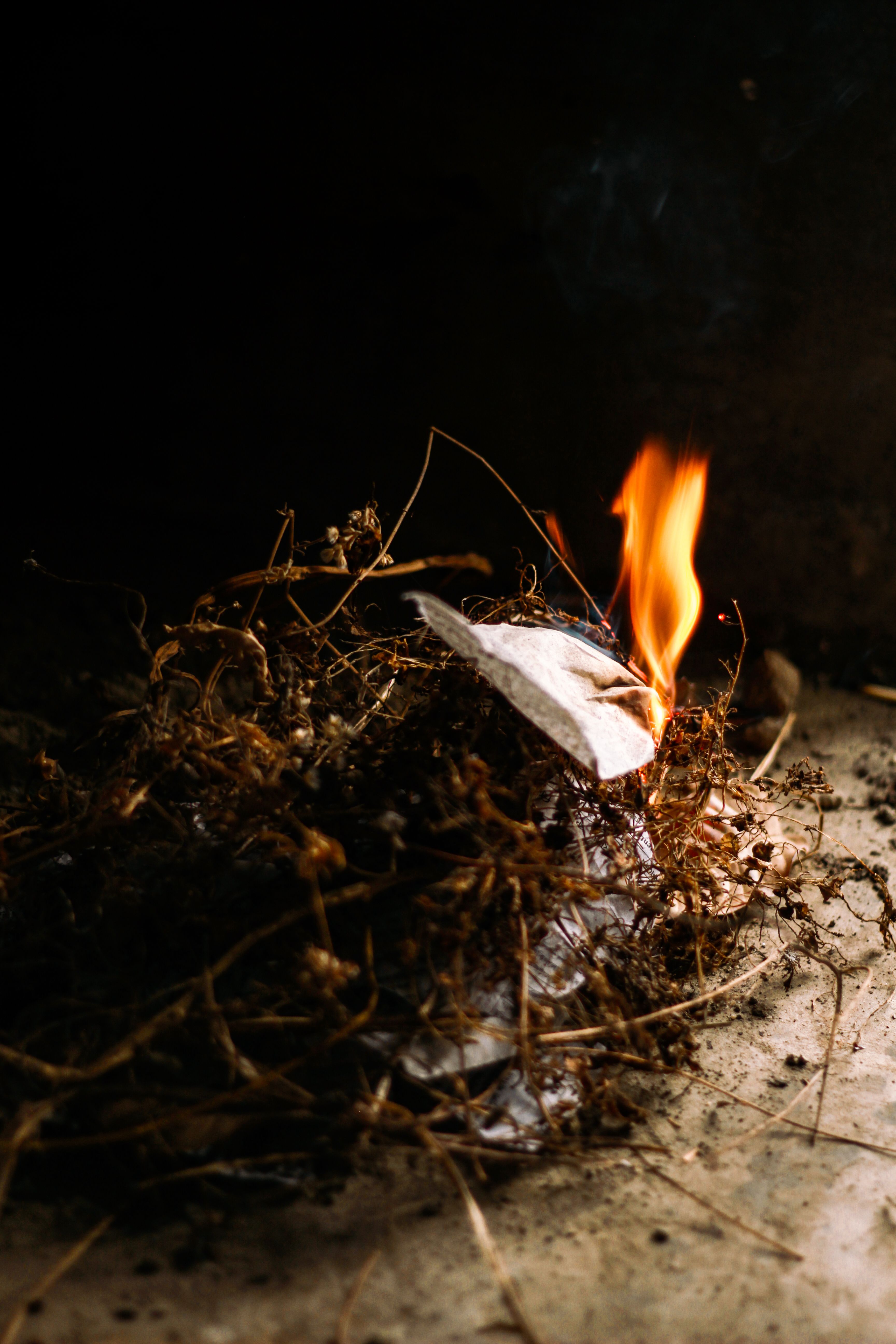 Cartoon Fire Photos, Download The BEST Free Cartoon Fire Stock Photos ...