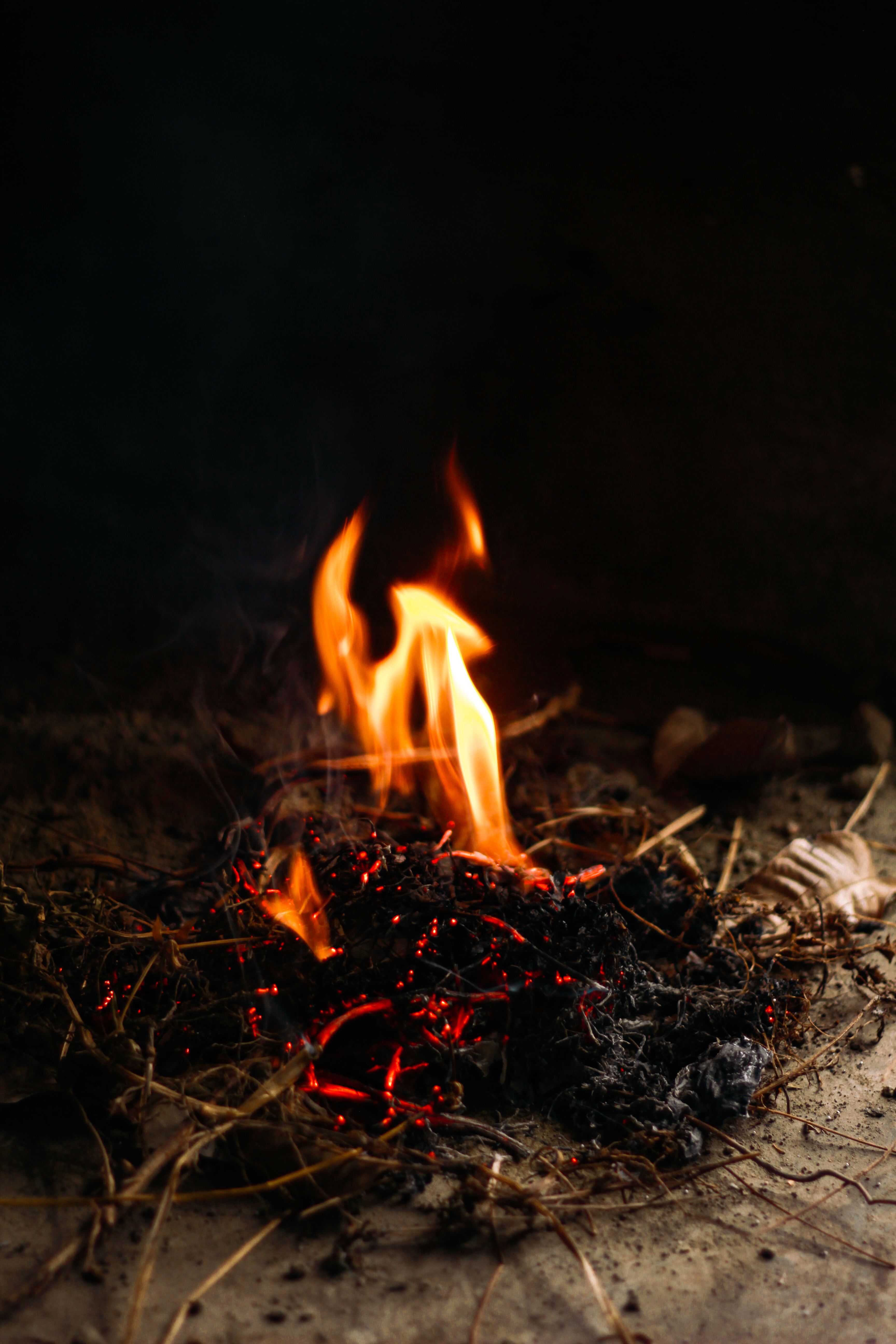 Cartoon Fire Photos, Download The BEST Free Cartoon Fire Stock Photos ...