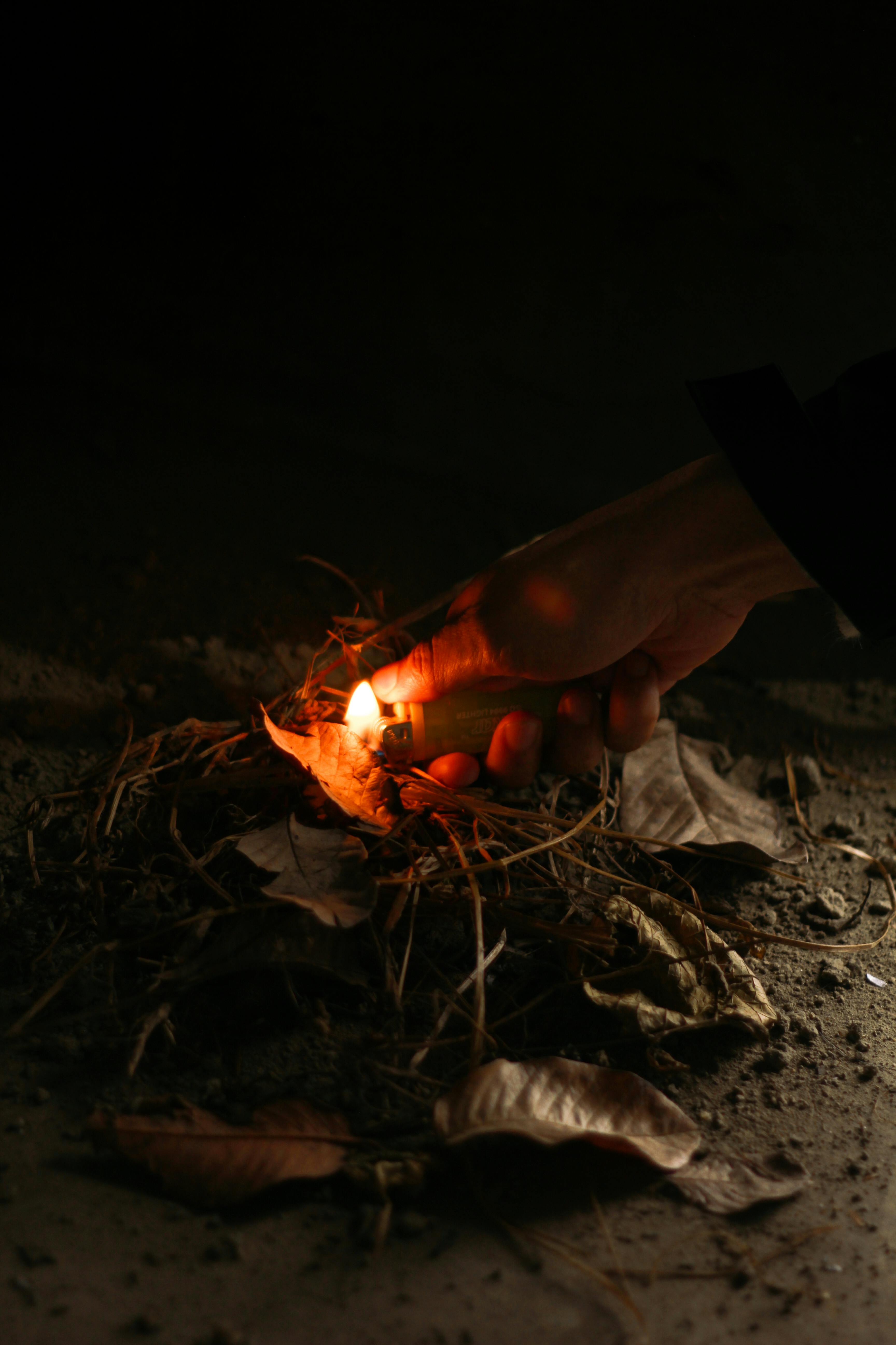 Flicker+Bikini+Tweens Photos, Download The BEST Free Flicker+Bikini ...