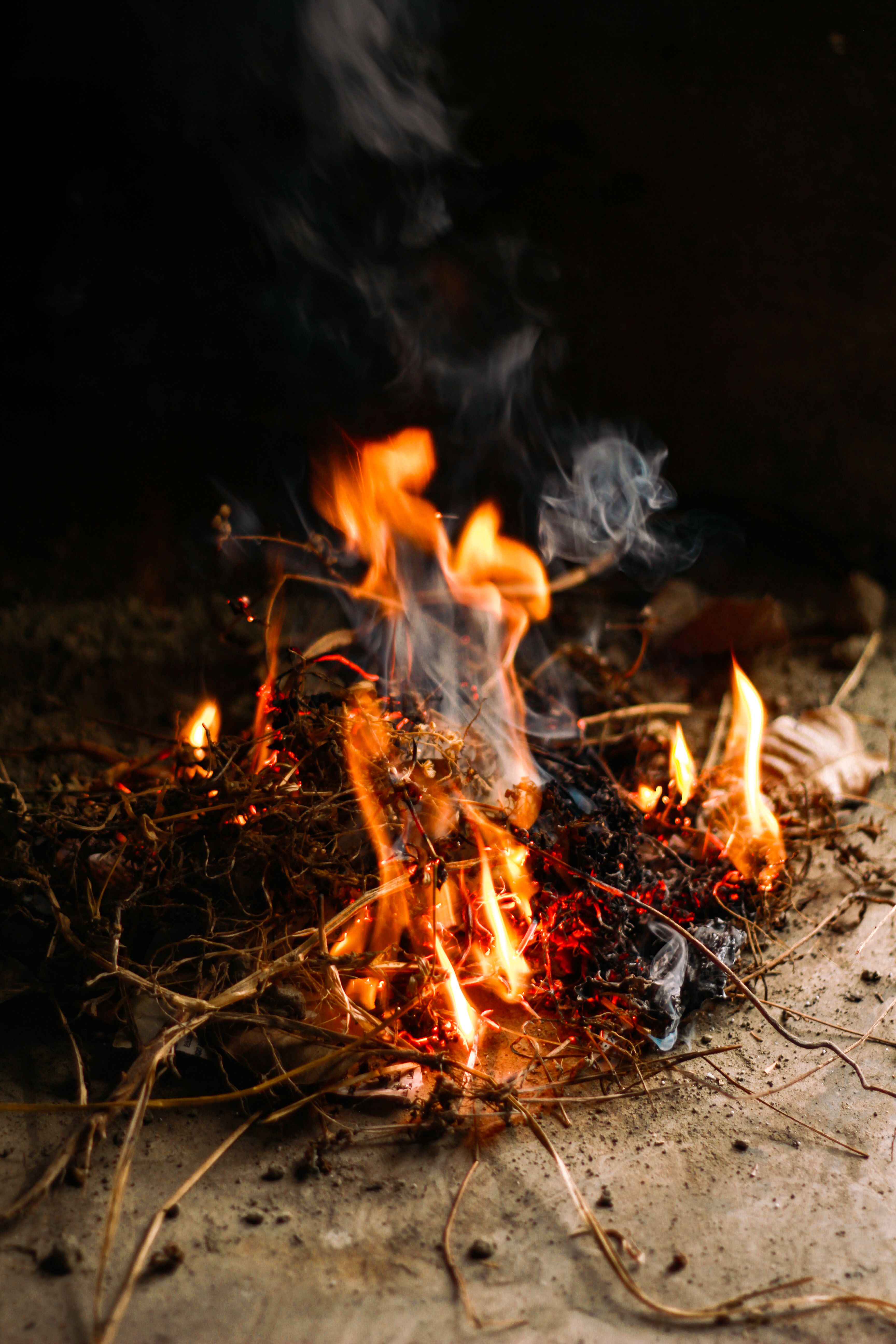 Small Fire with Burning Twigs and Smoke Outdoors · Free Stock Photo