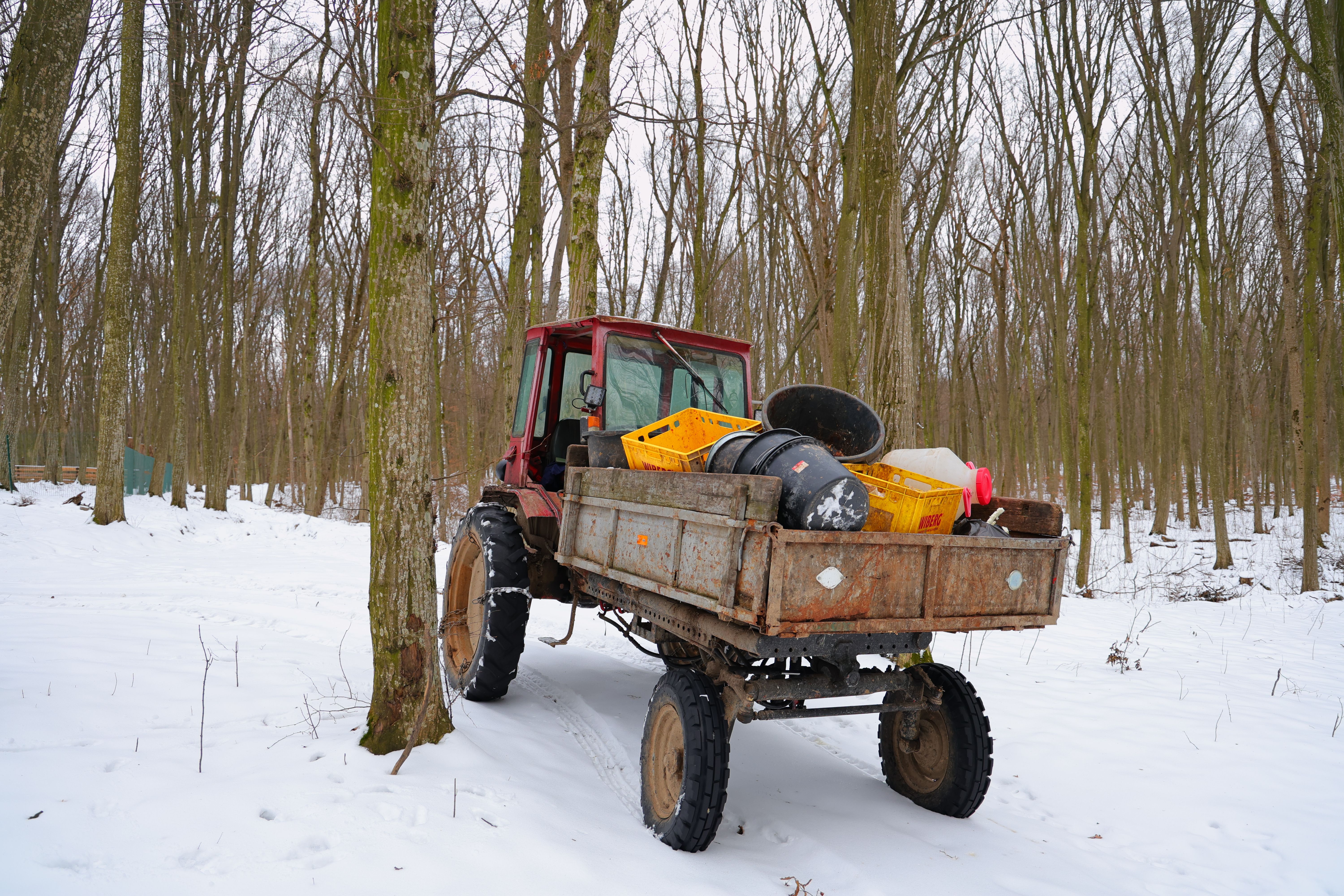 Red Tractor in Snowy Forest with Cargo · Free Stock Photo