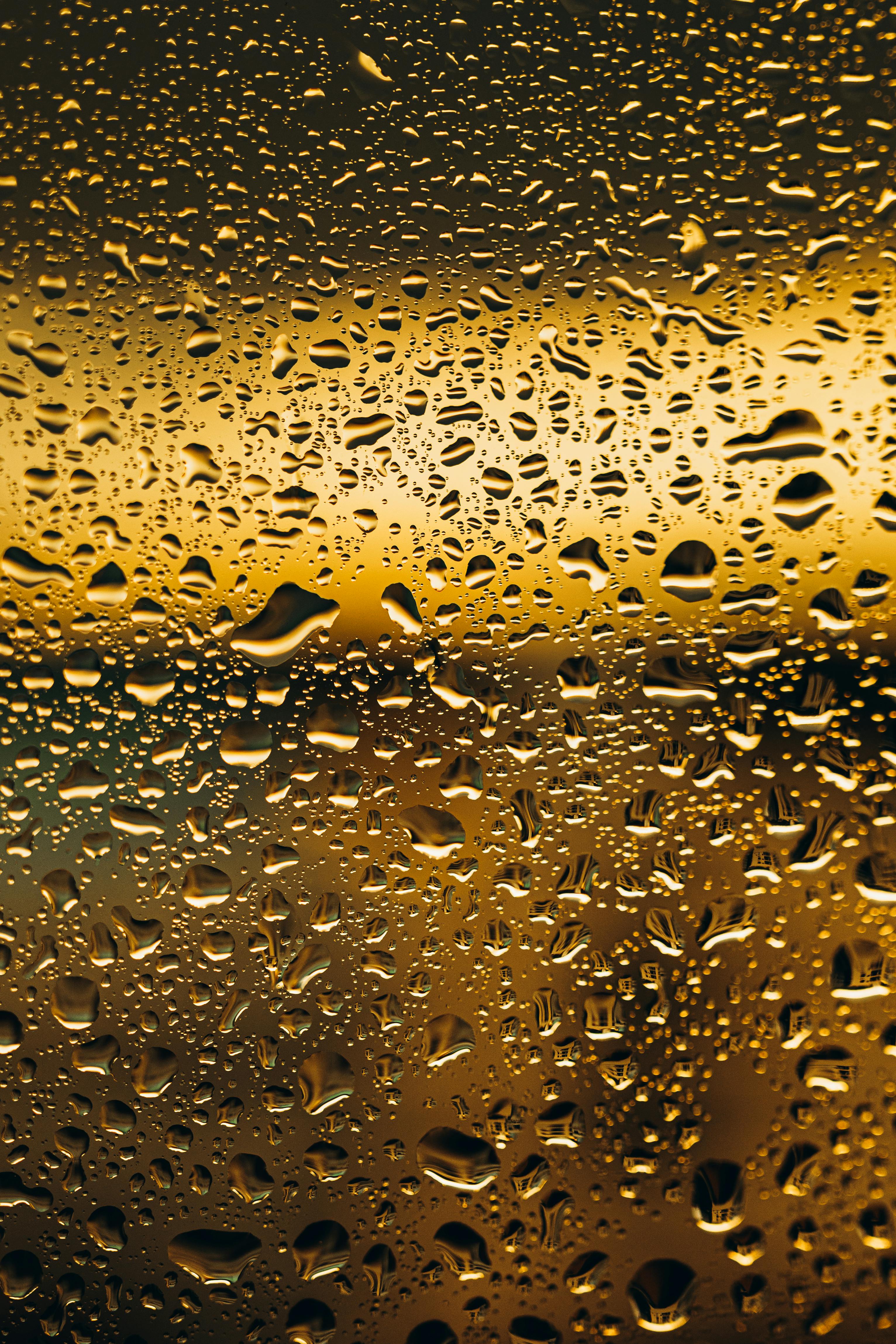 Scrolller+Micro+Bikini Photos, Download The BEST Free Scrolller+Micro+Bikini Stock Photos & HD ...