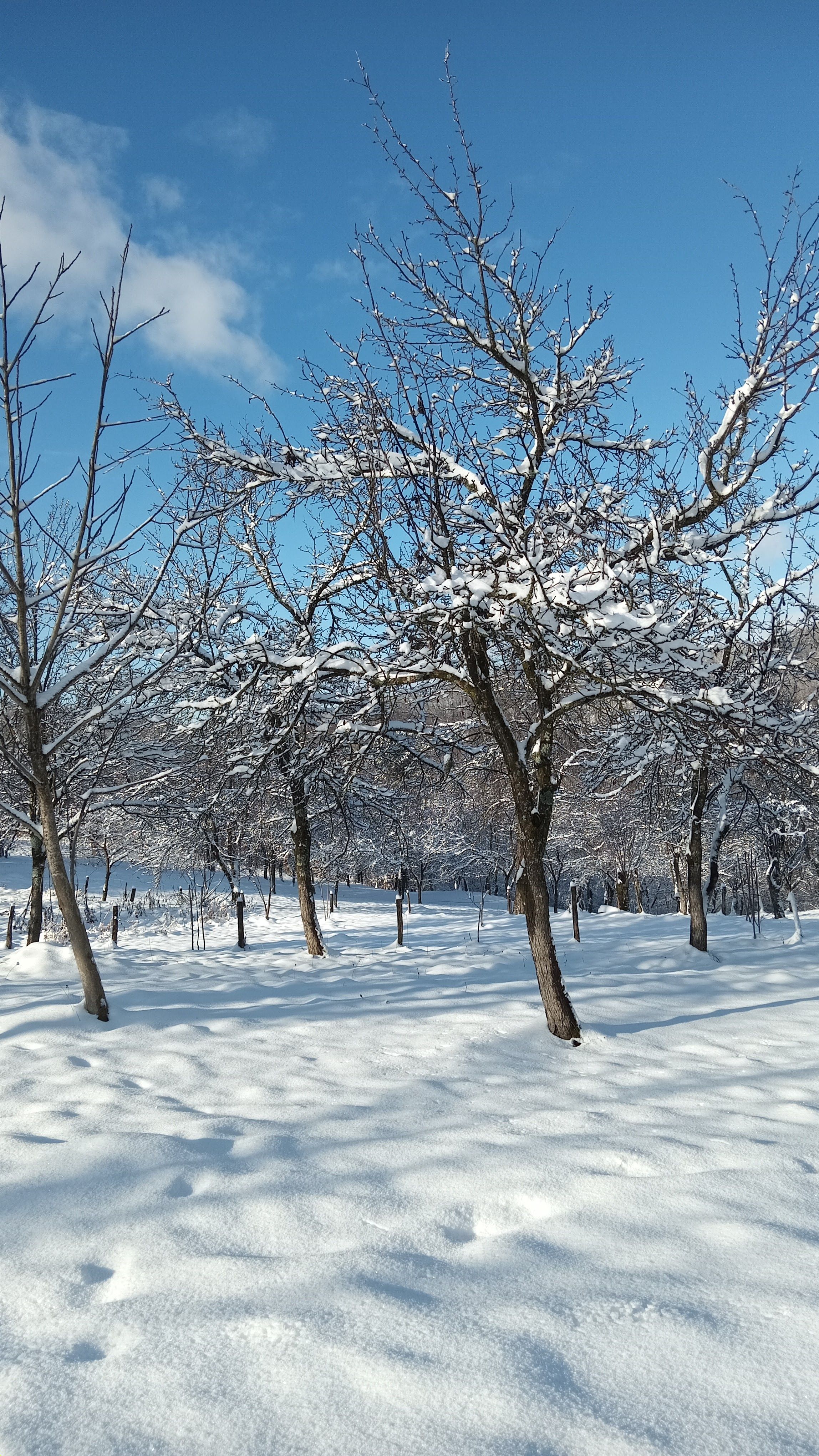 February Photos, Download The BEST Free February Stock Photos & HD Images