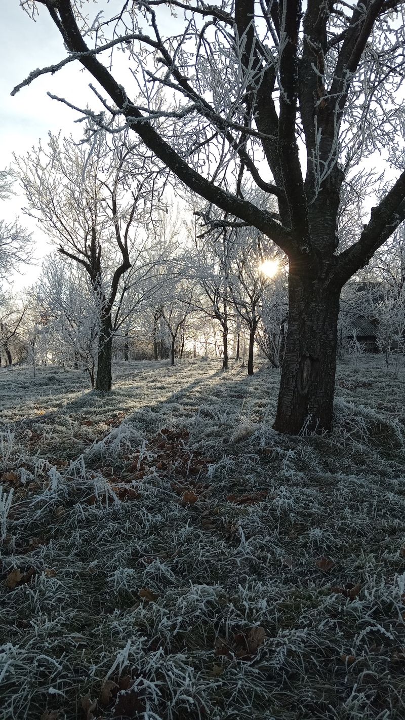Chilly Morning Photos, Download The BEST Free Chilly Morning Stock ...