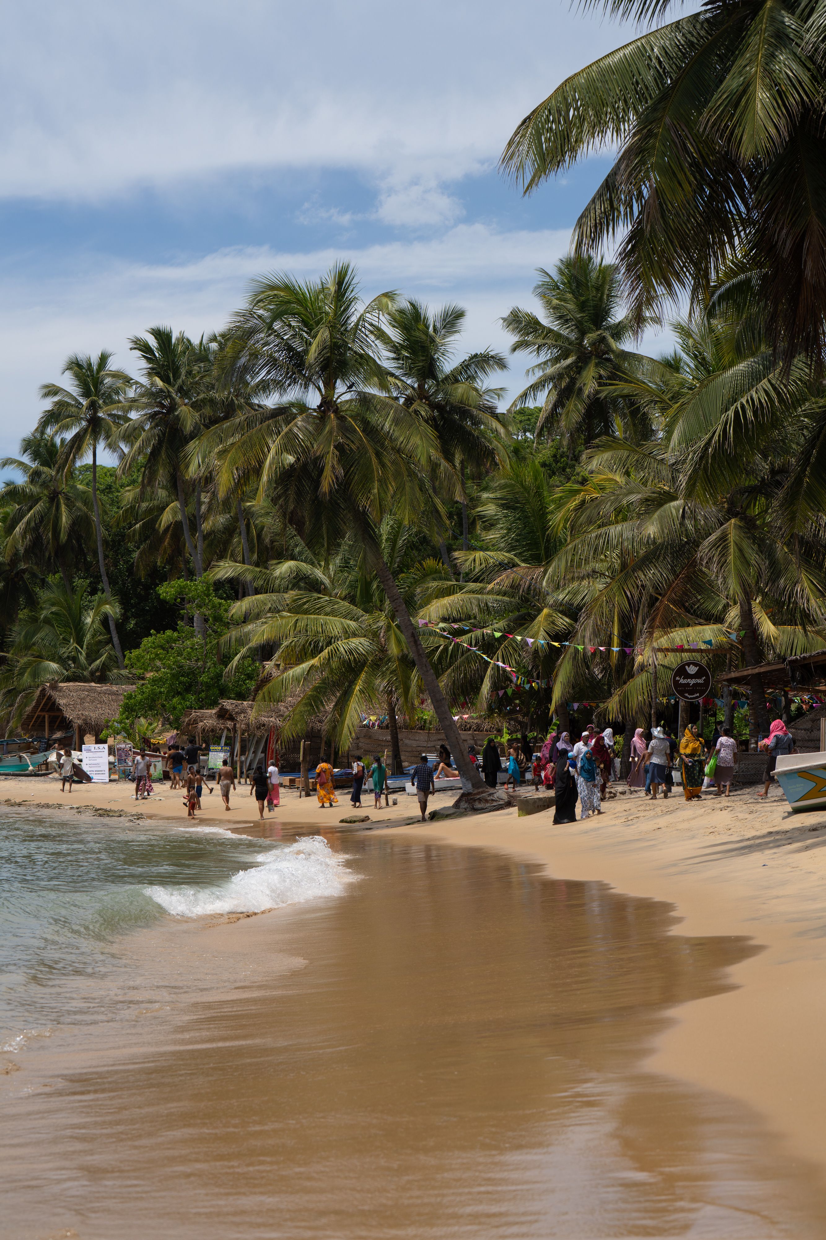 Scène De Plage Animée Avec Des Palmiers Au Sri Lanka · Photo gratuite