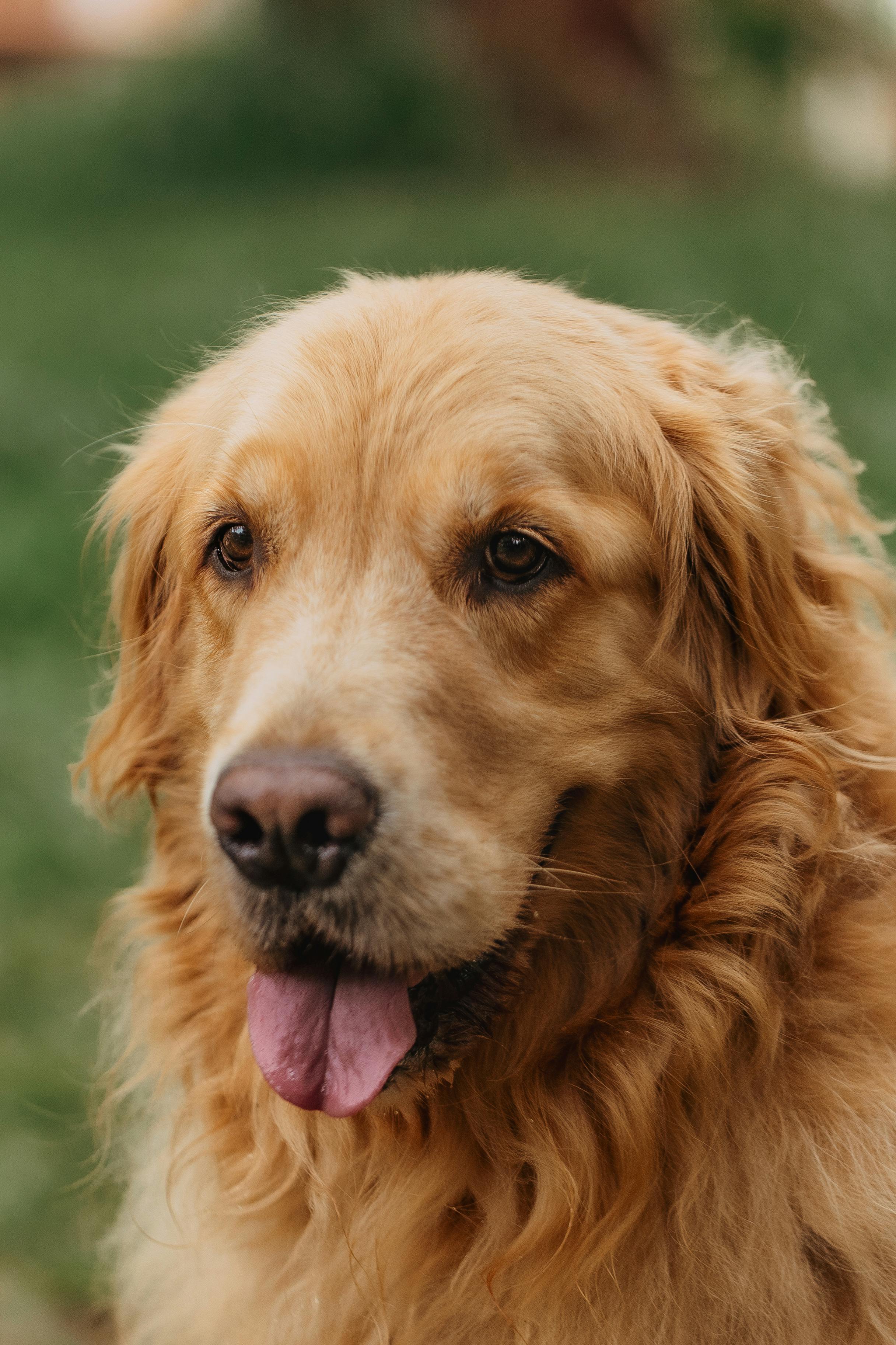 Happy+Ar0+Iefeedownload+Free Photos, Download The BEST Free Happy+Ar0 ...