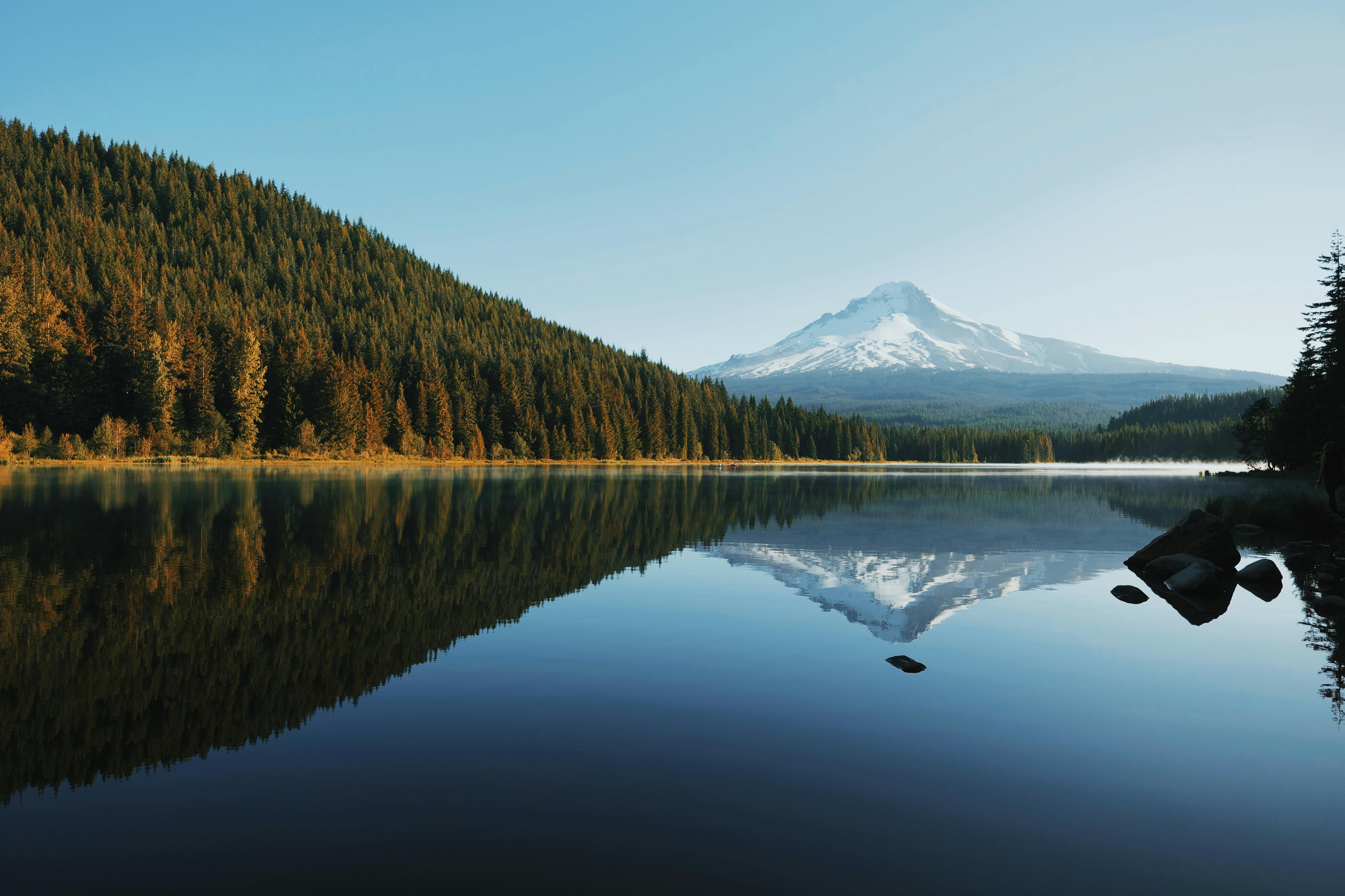 Green Trees Near Lake Under Blue Sky · Free Stock Photo