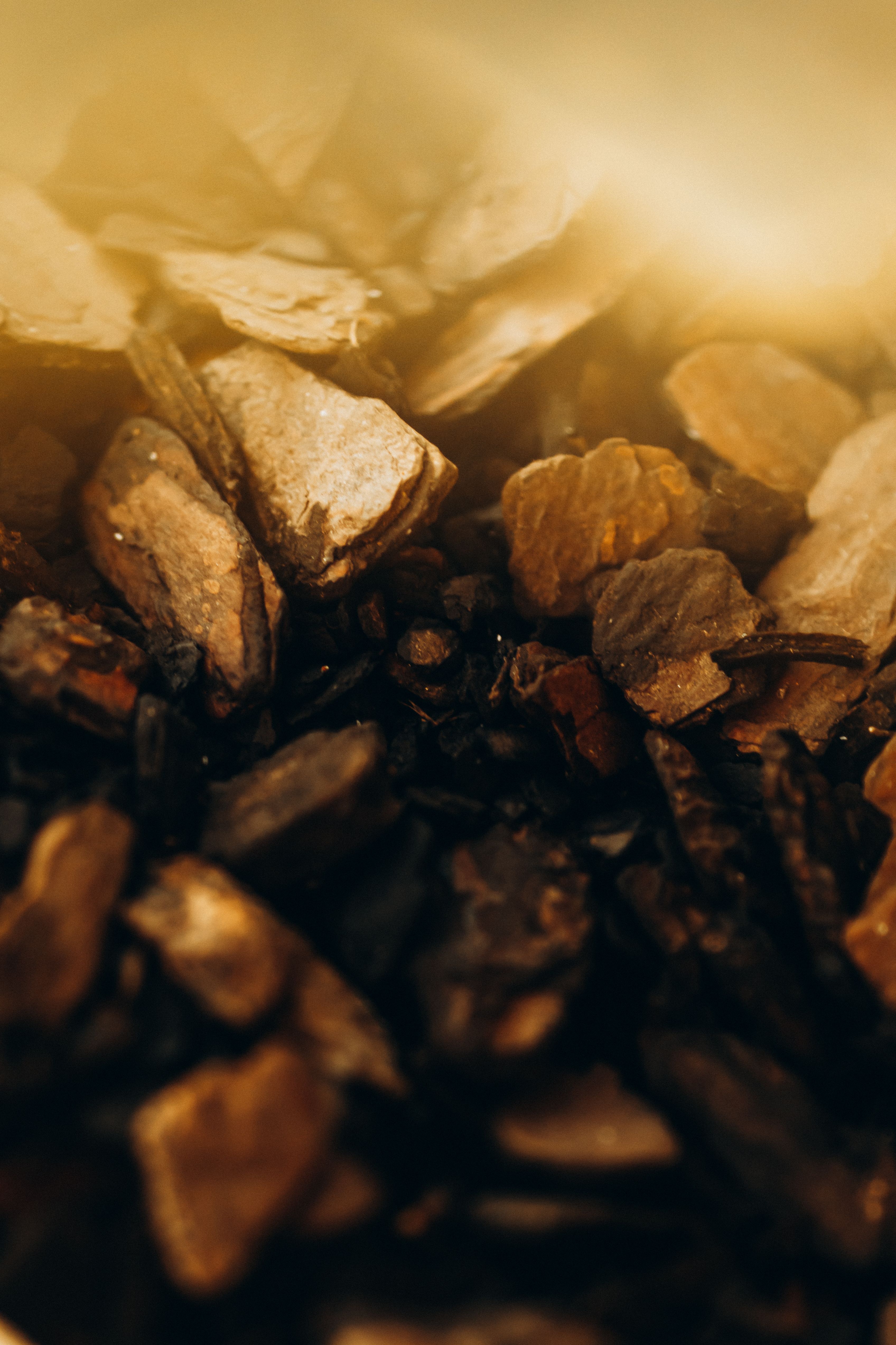 Earthy Background Photos, Download The BEST Free Earthy Background ...
