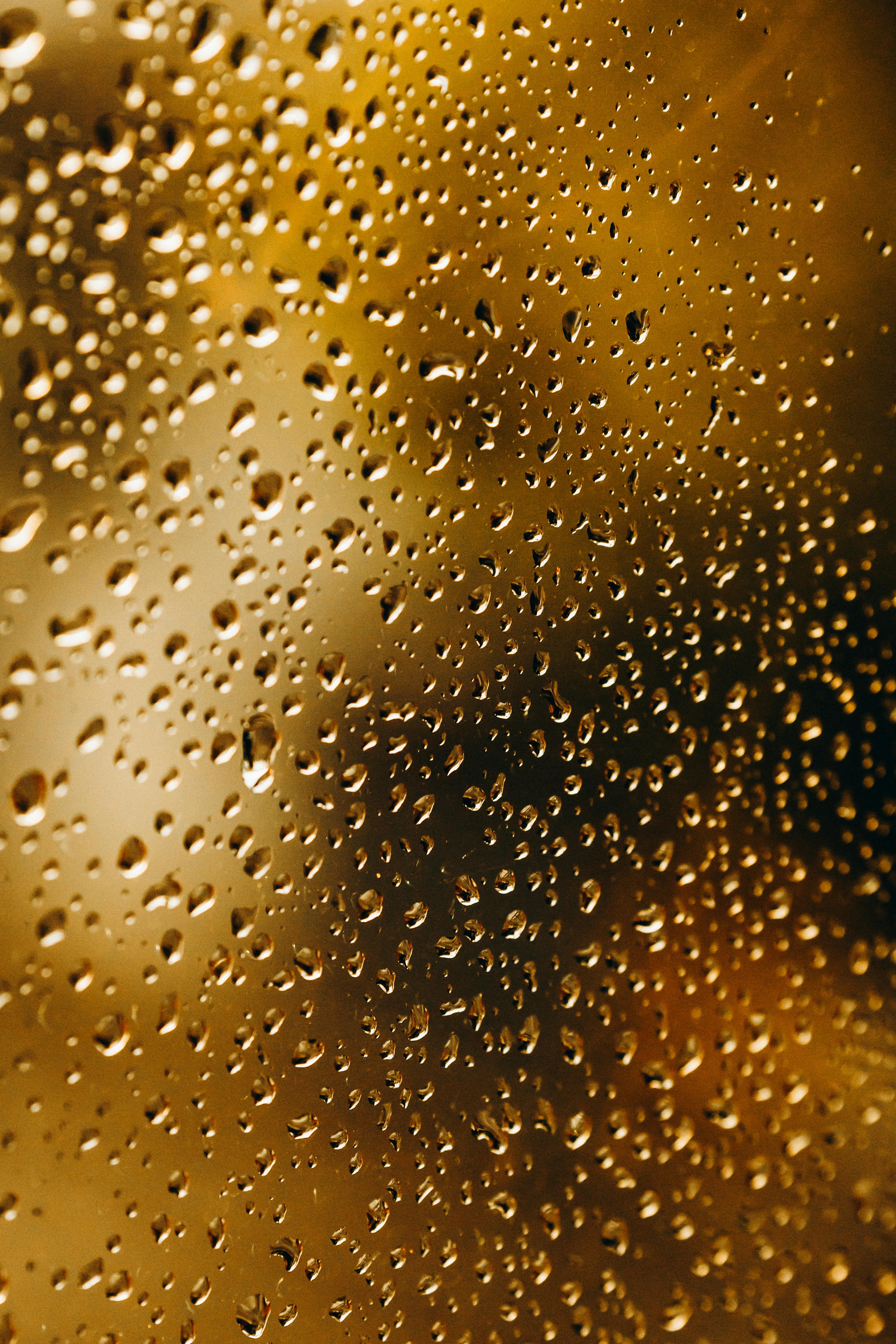 Spongebob Photo Photos, Download The BEST Free Spongebob Photo Stock ...