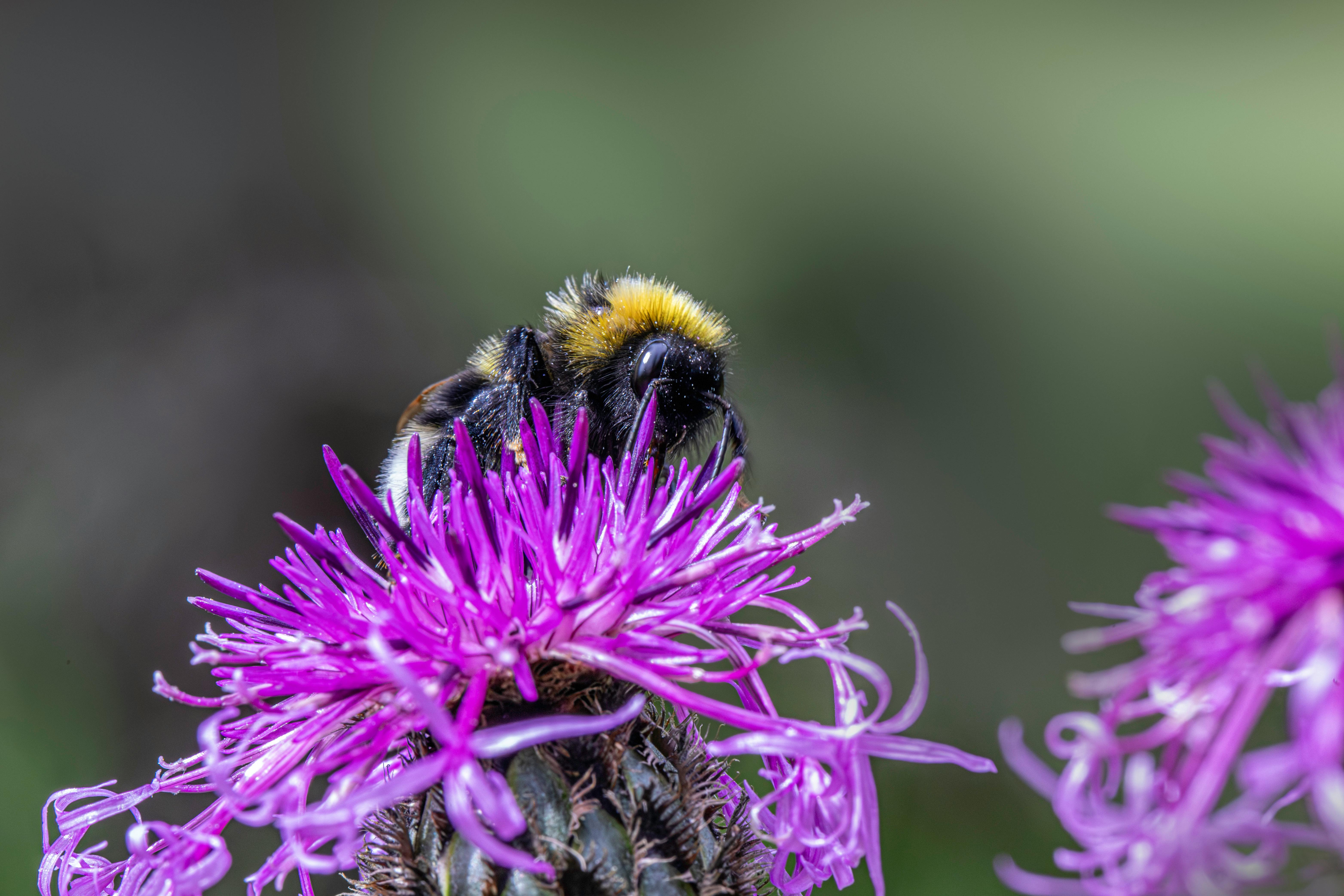 Landscape Collections Photos, Download The BEST Free Landscape ...