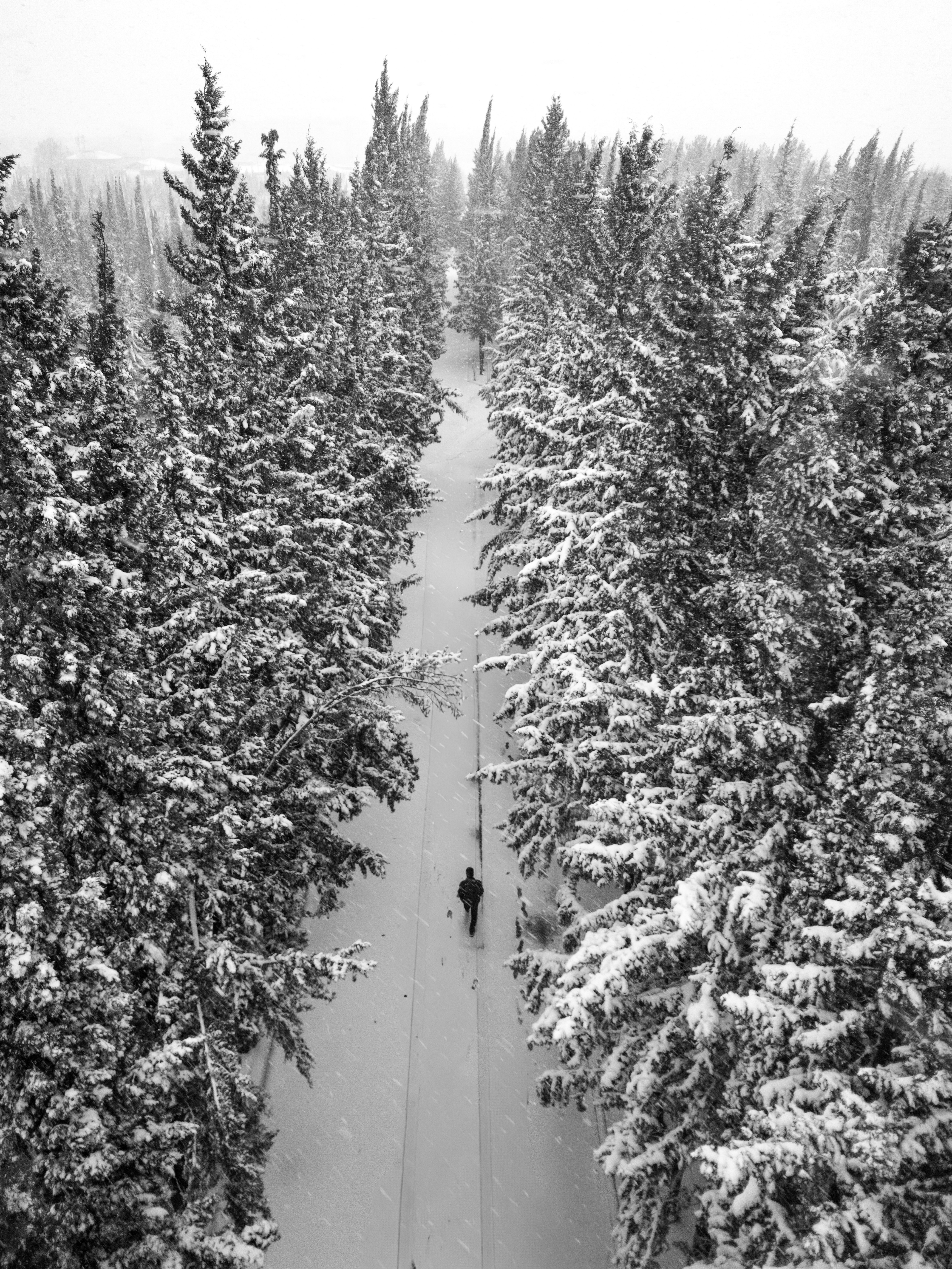 Aerial View of Snowy Forest Path in Türkiye · Free Stock Photo