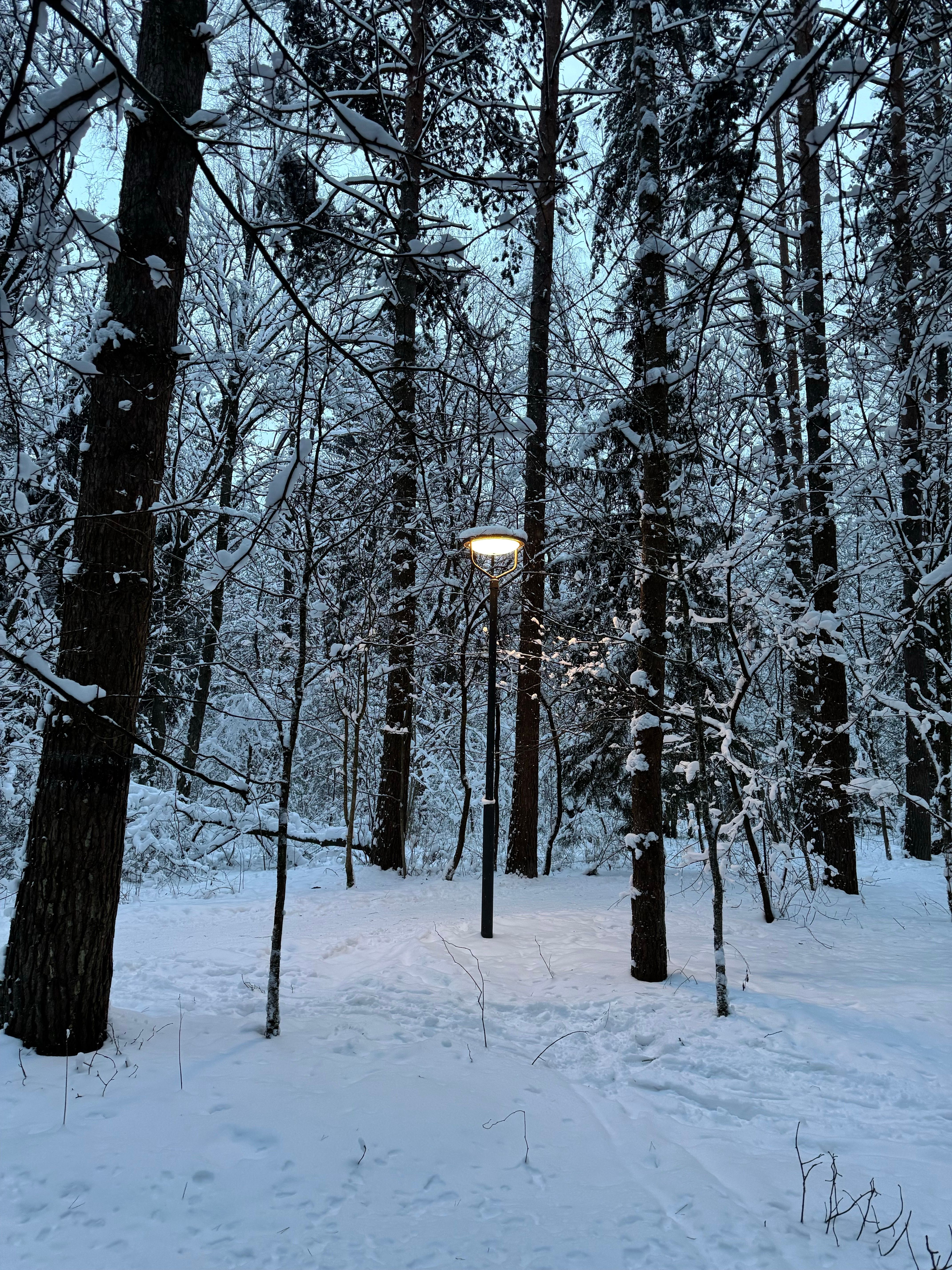 Snow Mood Photos, Download The BEST Free Snow Mood Stock Photos & HD Images