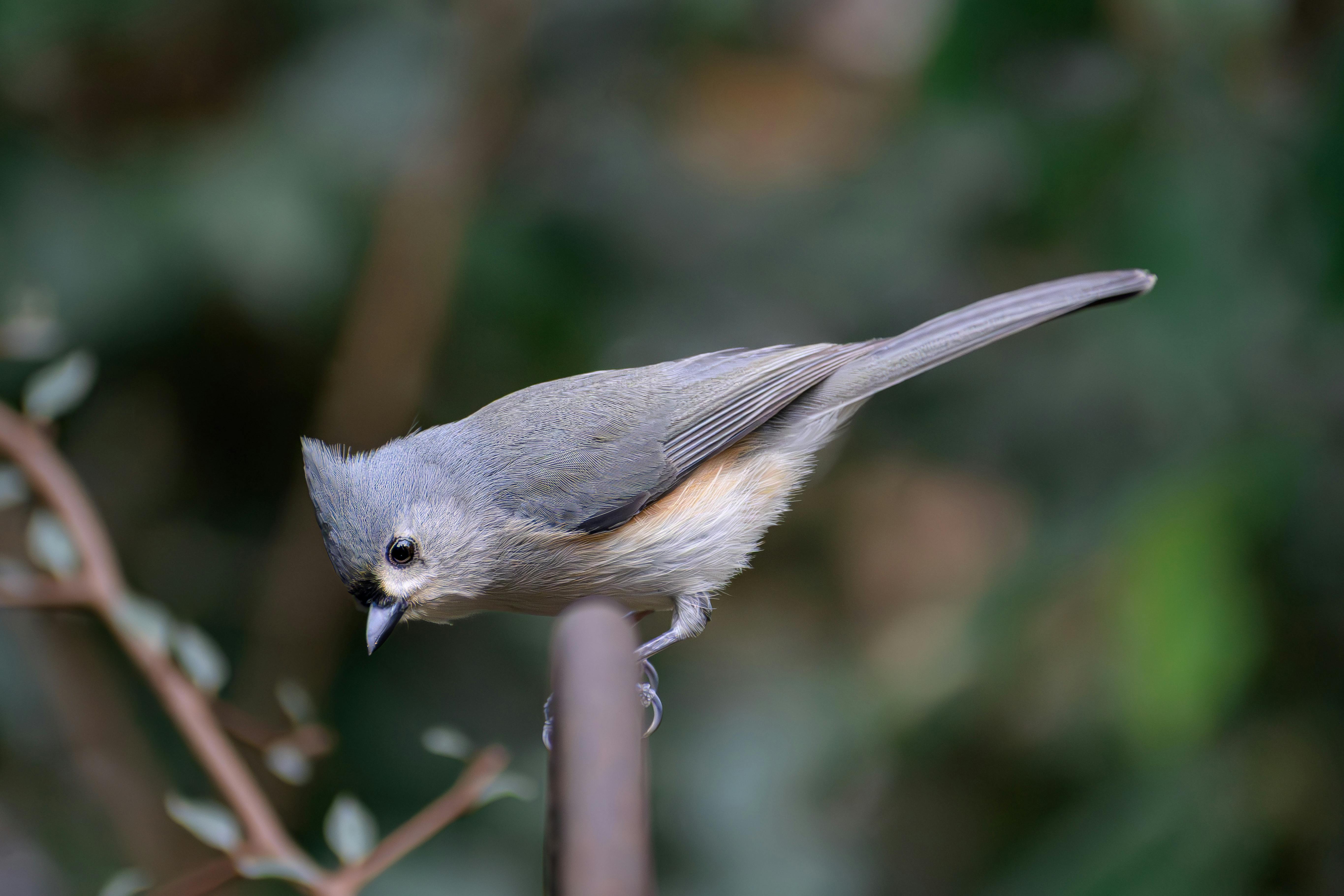 Falling+Out+Of+Her+Top Photos, Download The BEST Free Falling+Out+Of ...