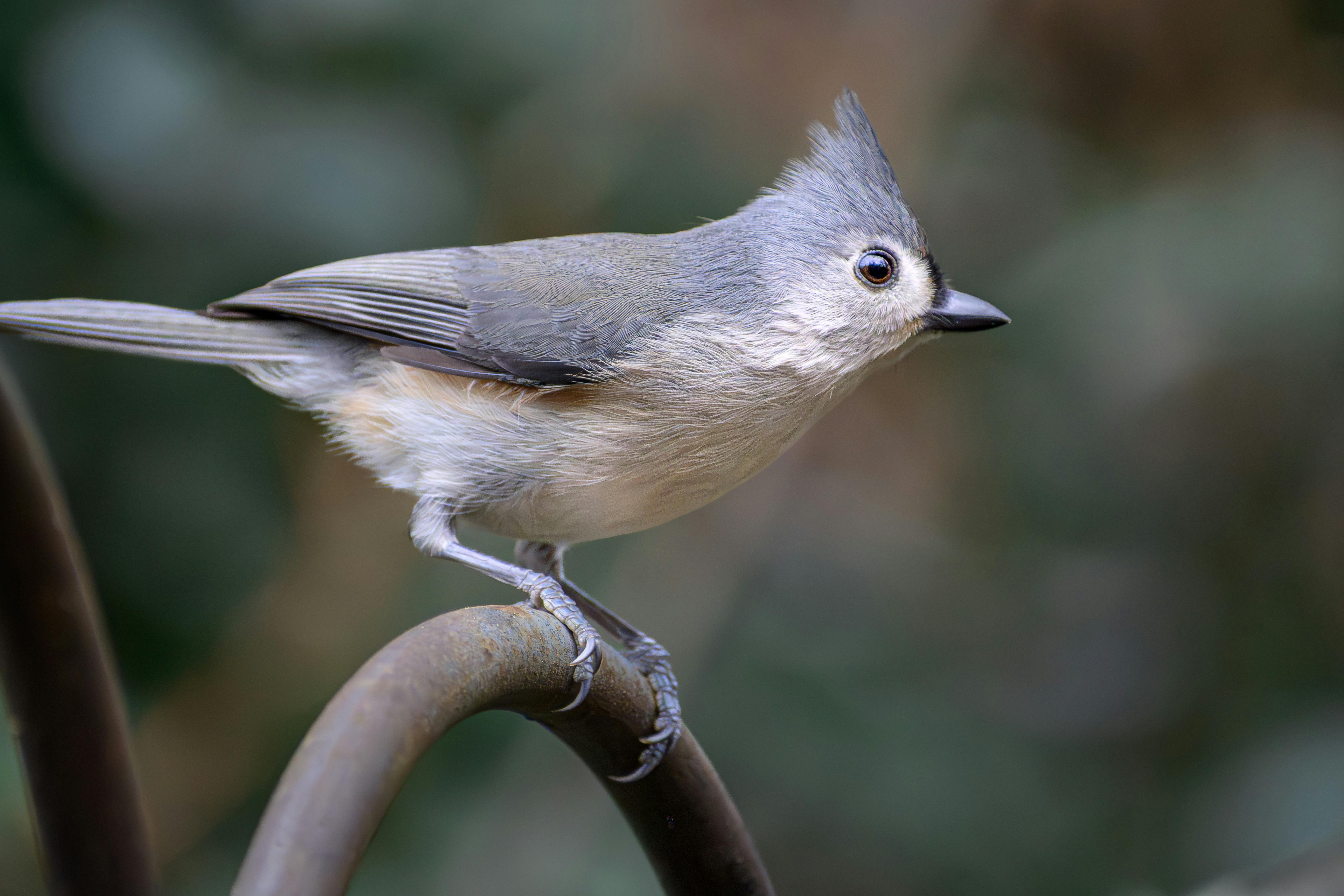 Nina+North Photos, Download The BEST Free Nina+North Stock Photos & HD ...