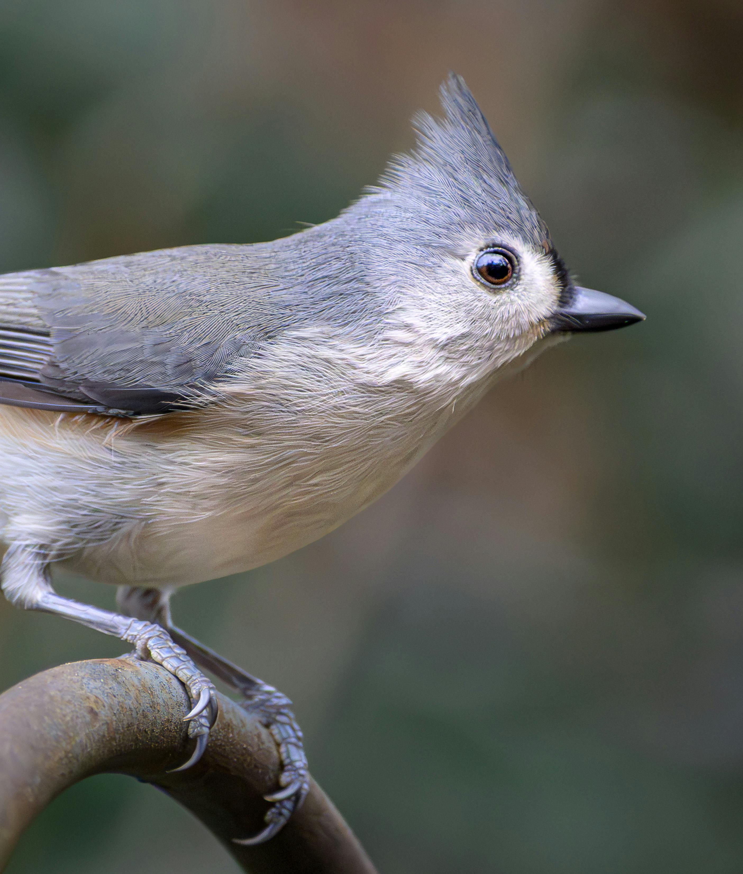 Imagine+Photo+Editing Photos, Download The BEST Free Imagine+Photo ...