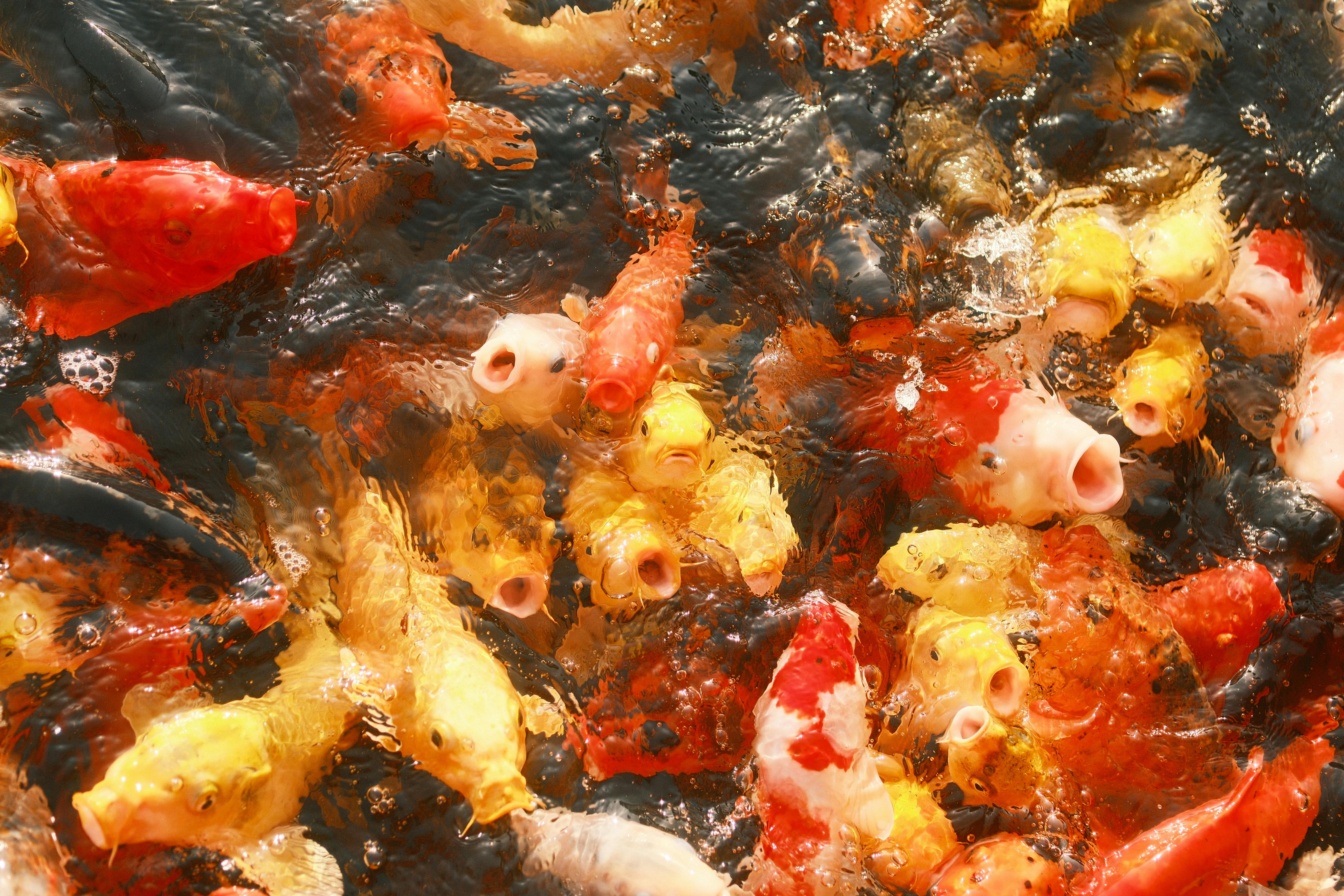 Reverse+Cowgirl+Slow+Motion+Gif Photos, Download The BEST Free Reverse+Cowgirl+Slow+Motion+Gif ...