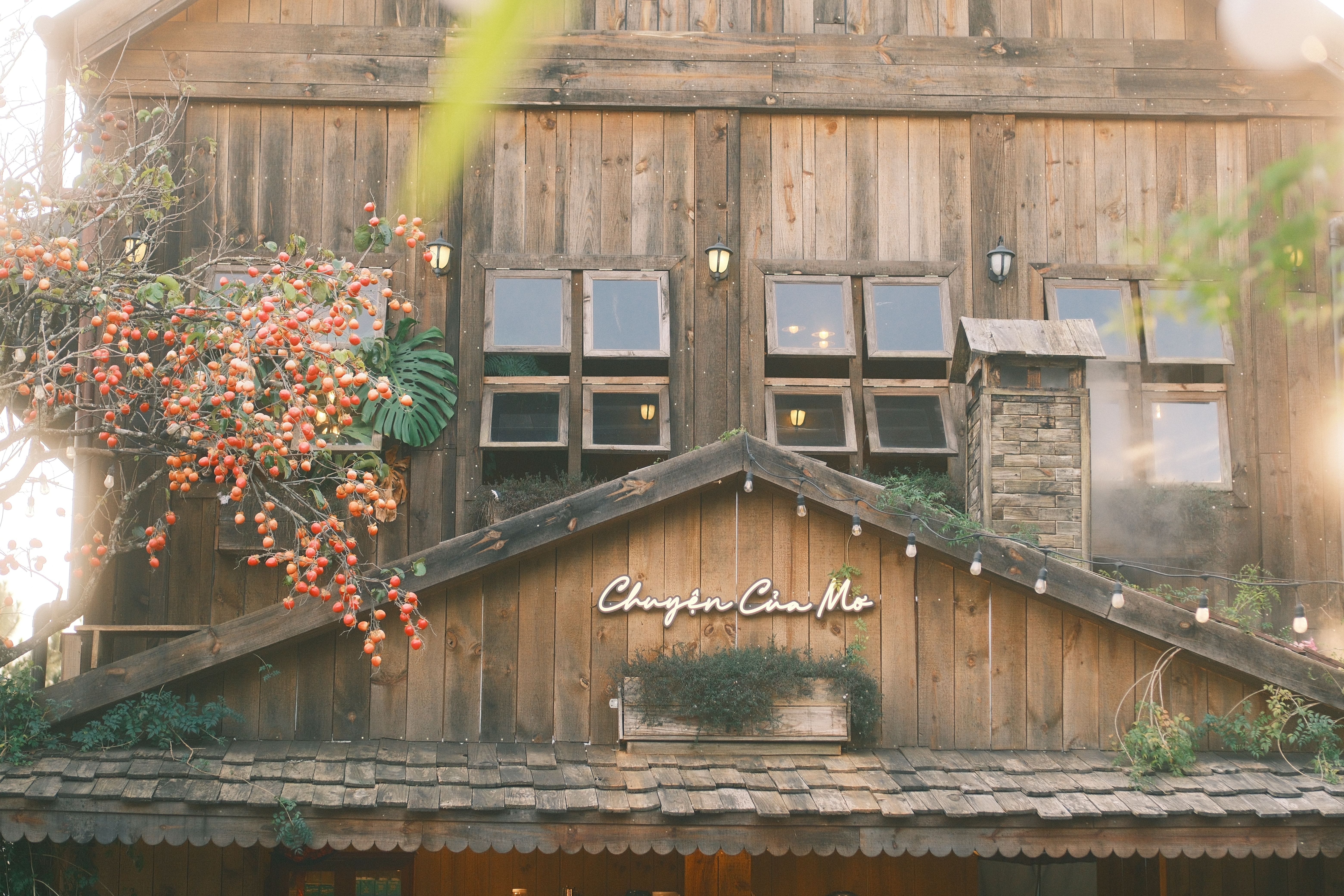 Rustic Wooden Barn With Autumnal Persimmons · Free Stock Photo