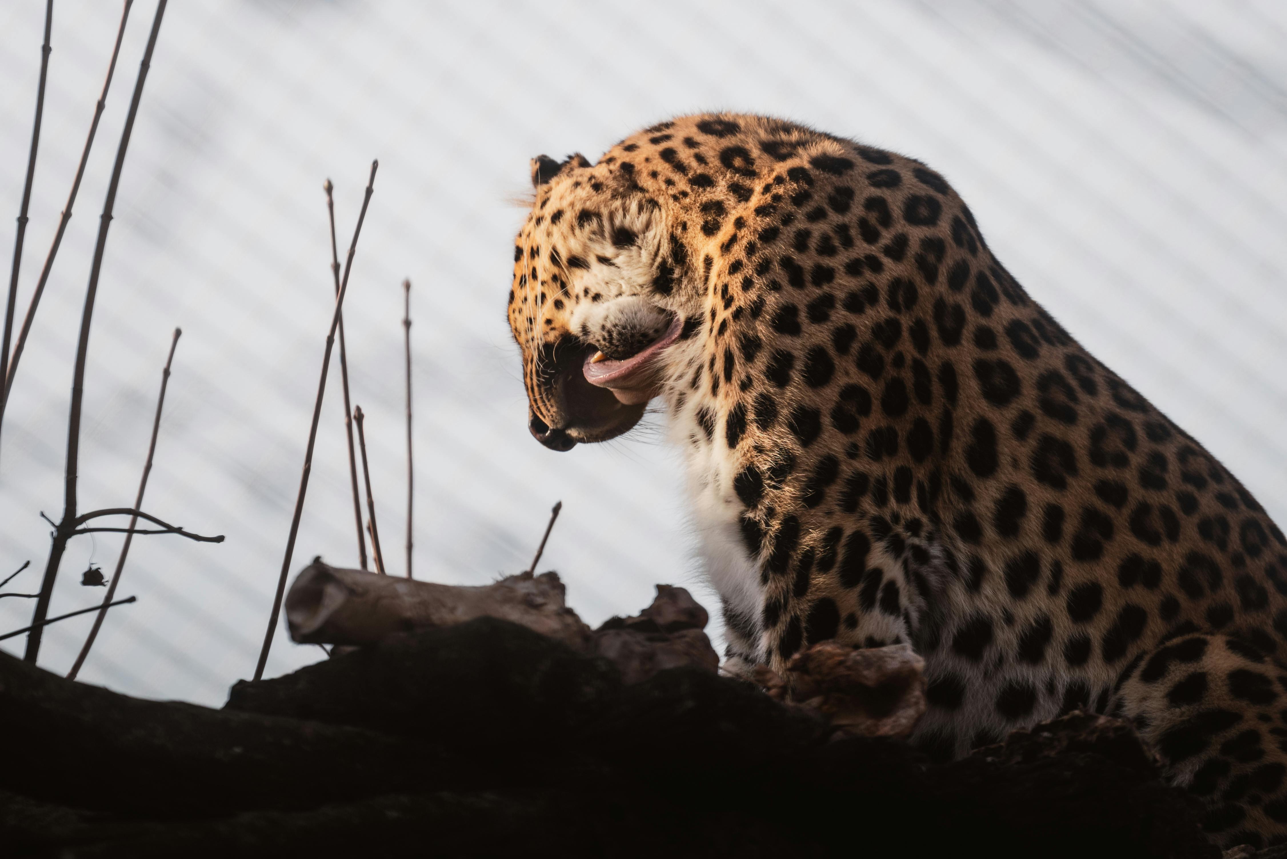 Laptop Lock Screen Wallpaper 4k Anime Photos, Download The BEST Free ...