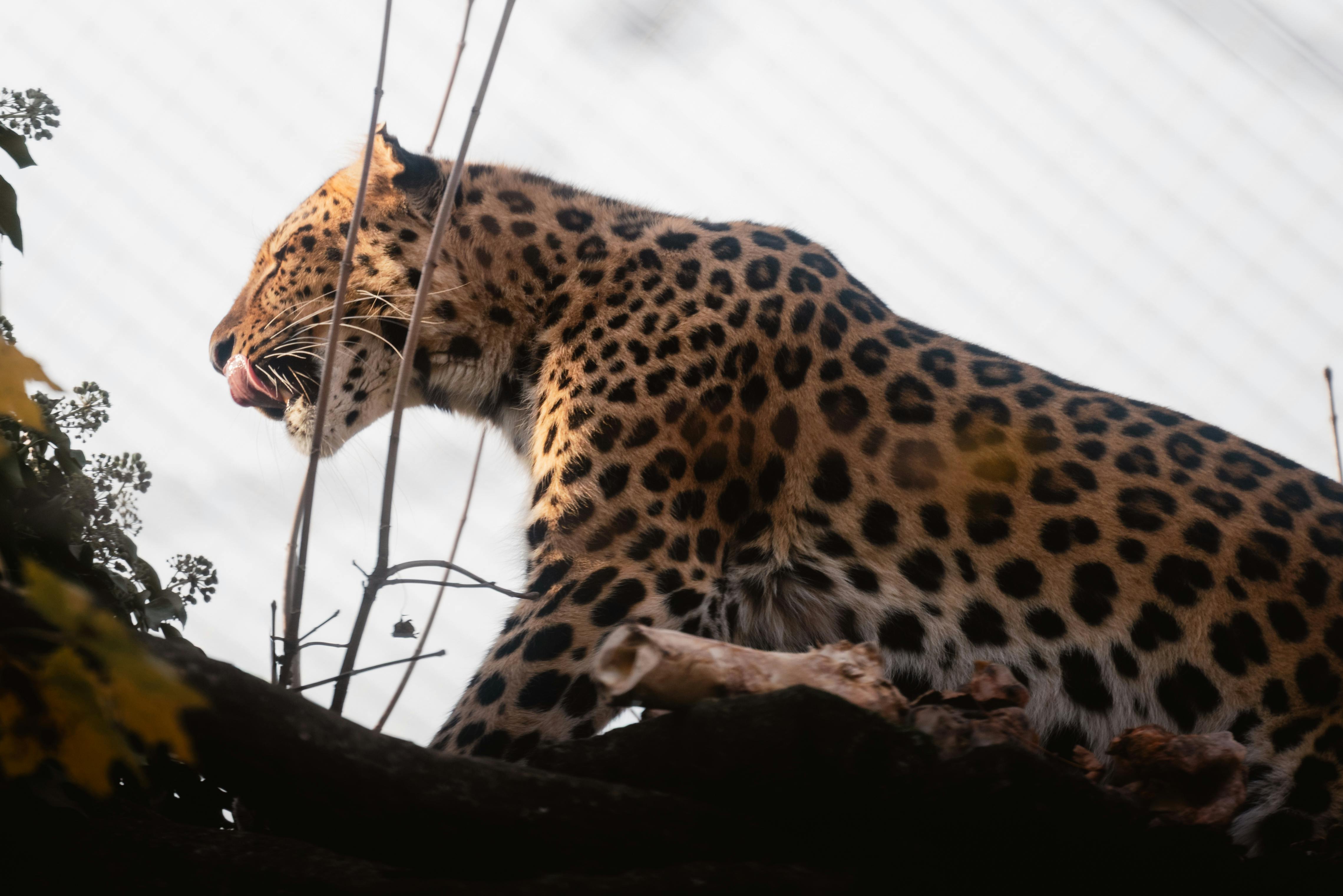 4k Wallpaper Secret Hideout Photos, Download The BEST Free 4k Wallpaper ...