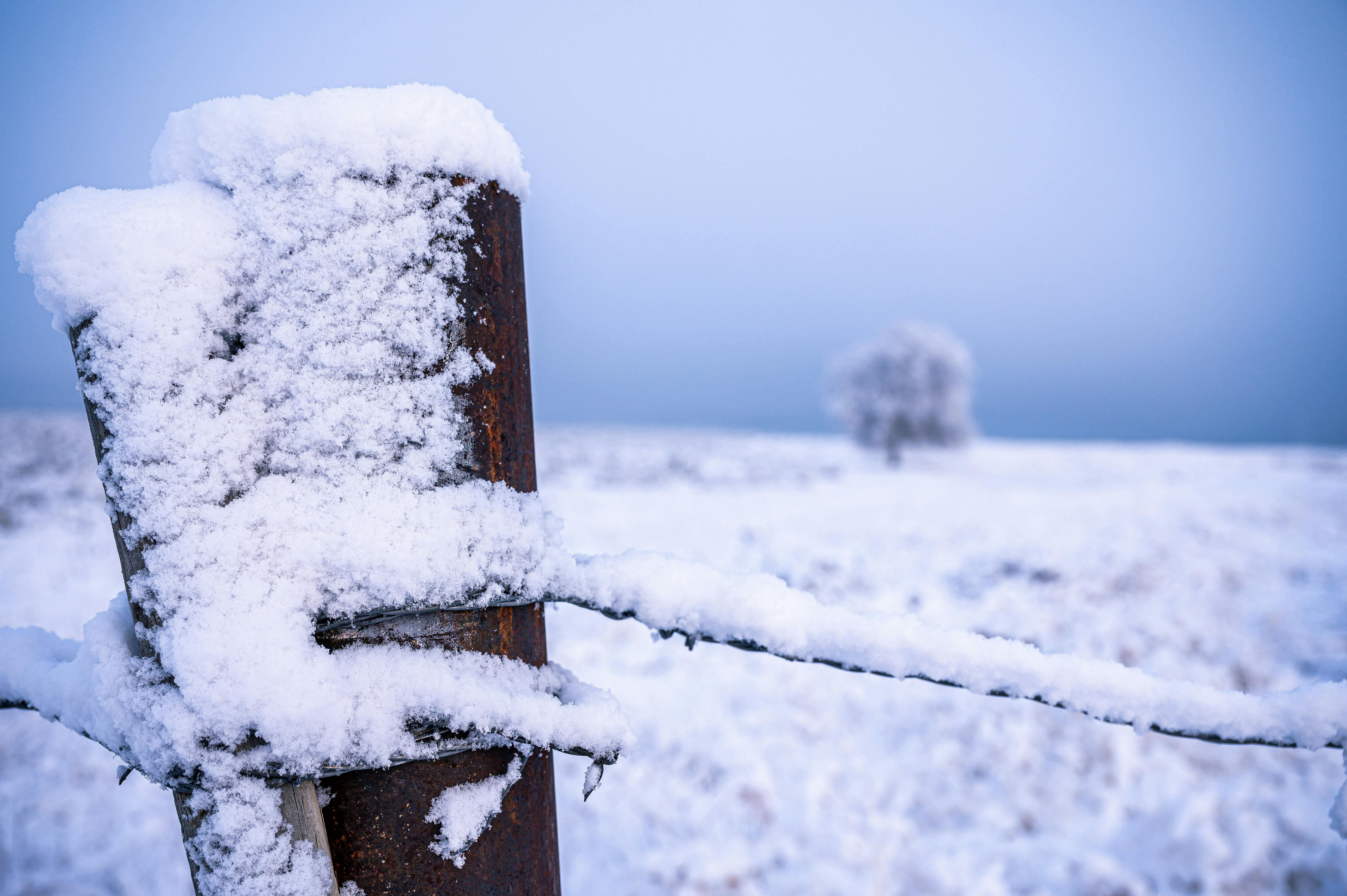 Brown Wooden Fence Covered With Snow · Free Stock Photo