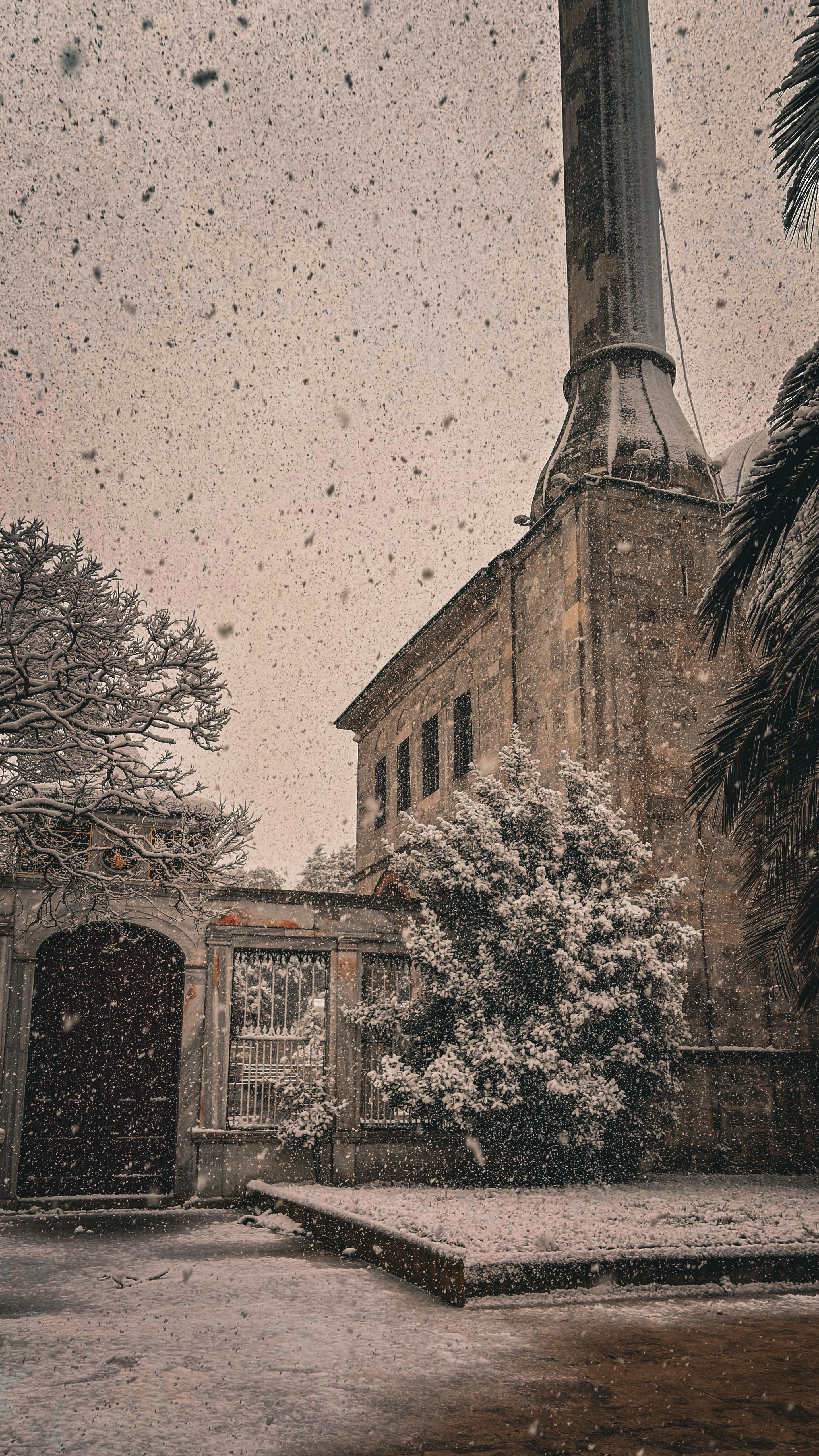 Blizzard Photos, Download The BEST Free Blizzard Stock Photos & HD Images